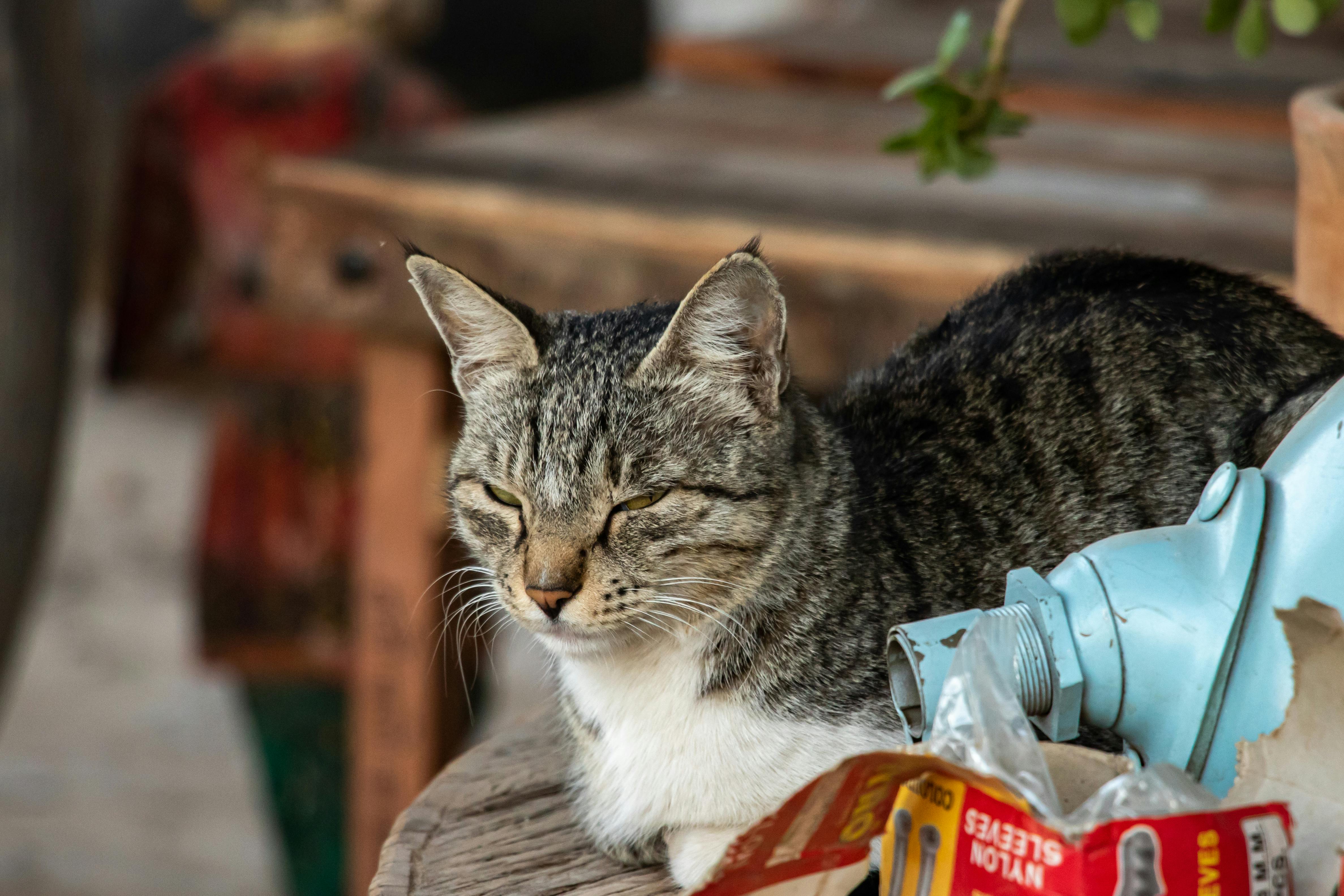 ritik kothari - Photography