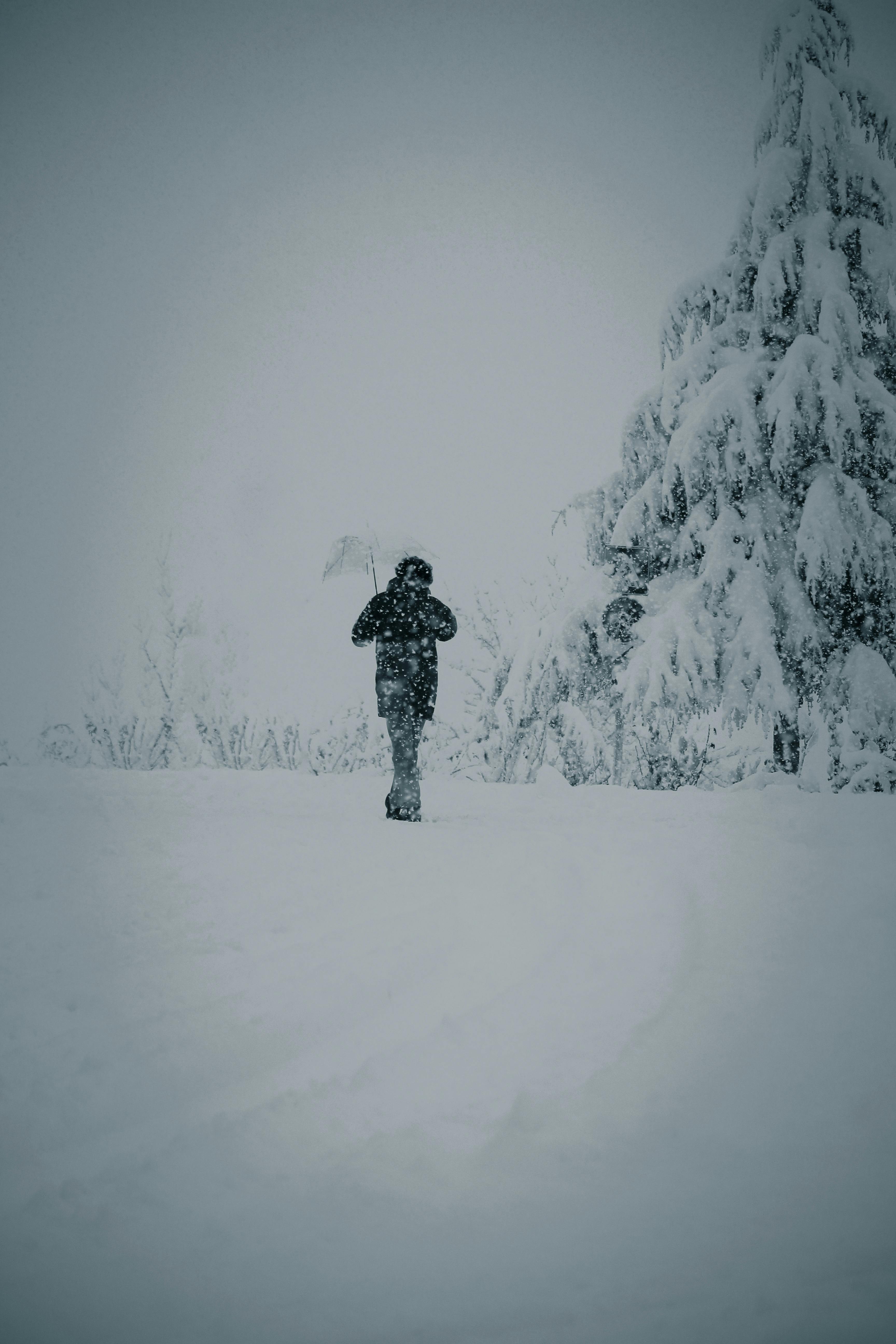 Person in Black Coat Walking on Snow Covered Pathway · Free Stock Photo