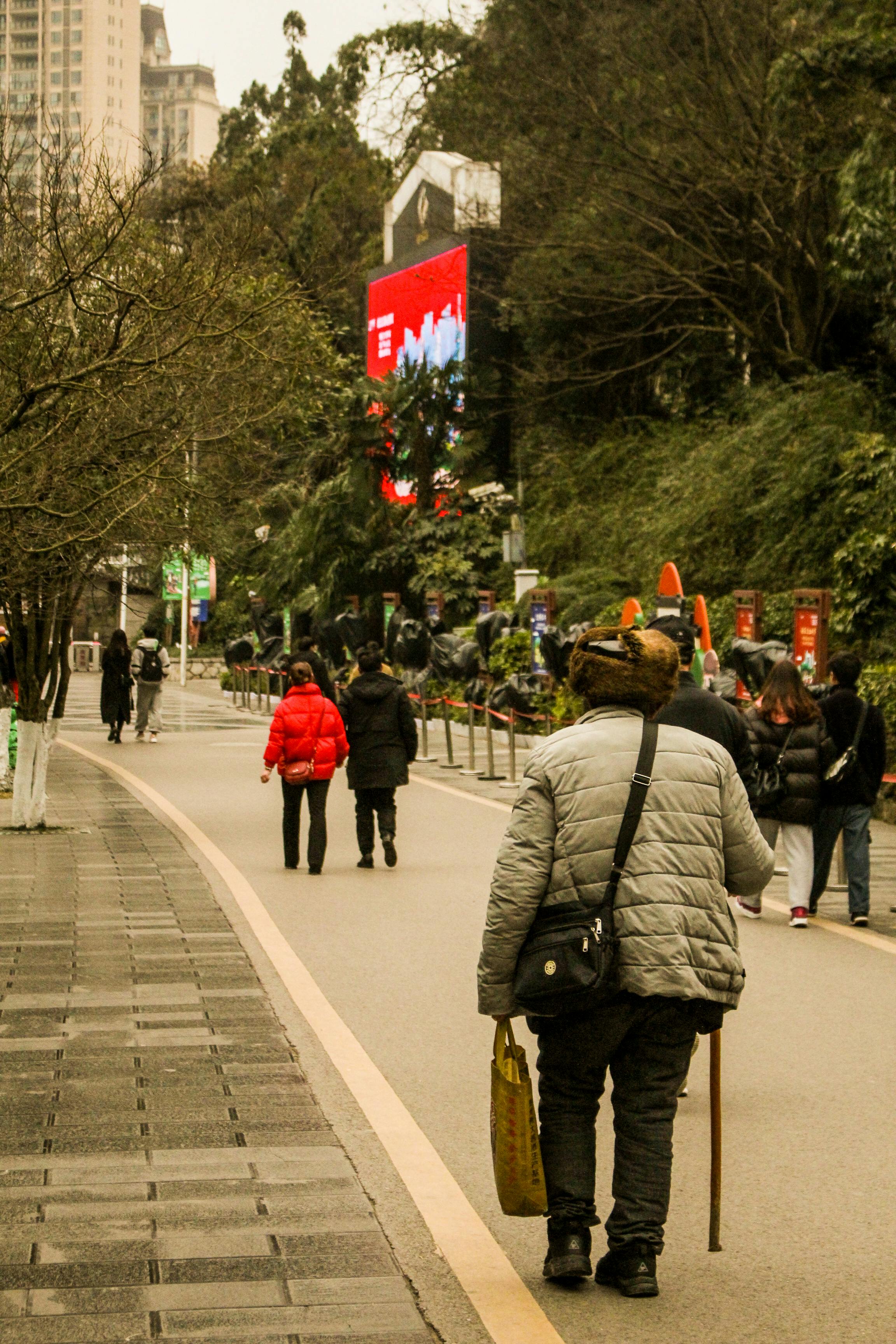 People Walking on Pavement · Free Stock Photo