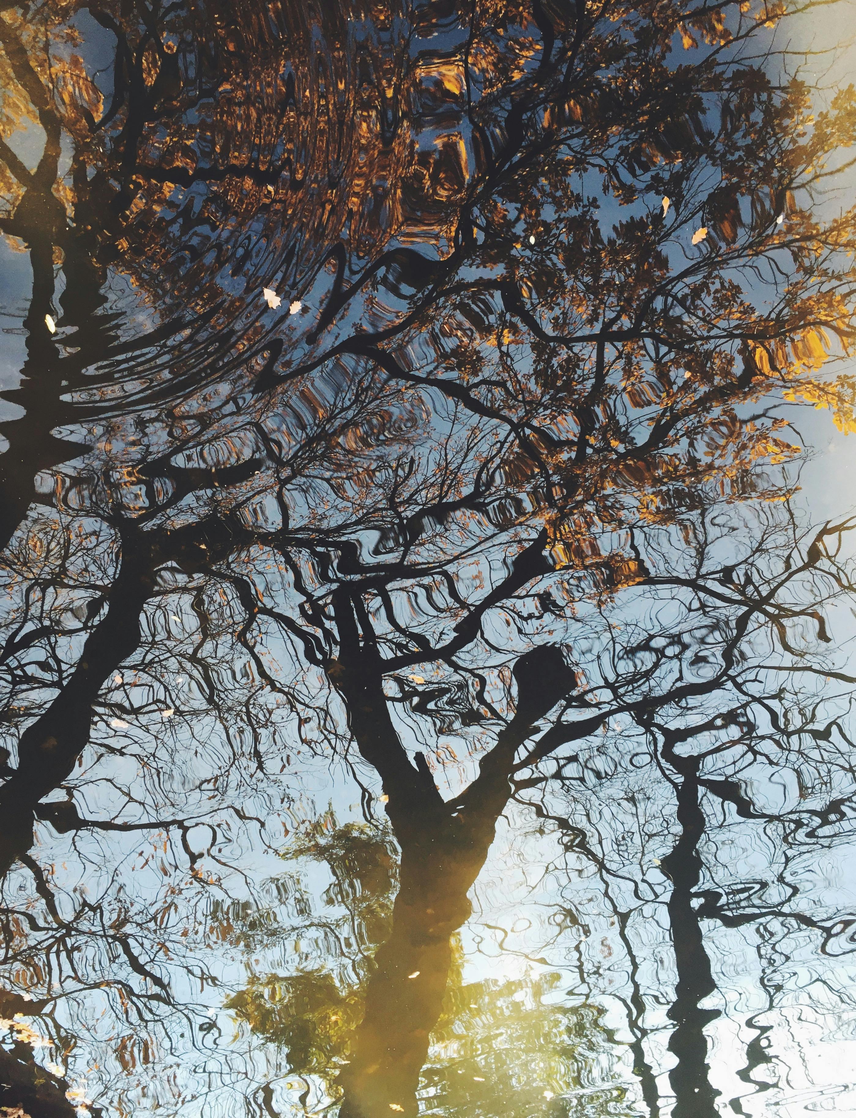 Fall Waves Photos, Download The BEST Free Fall Waves Stock Photos & HD ...