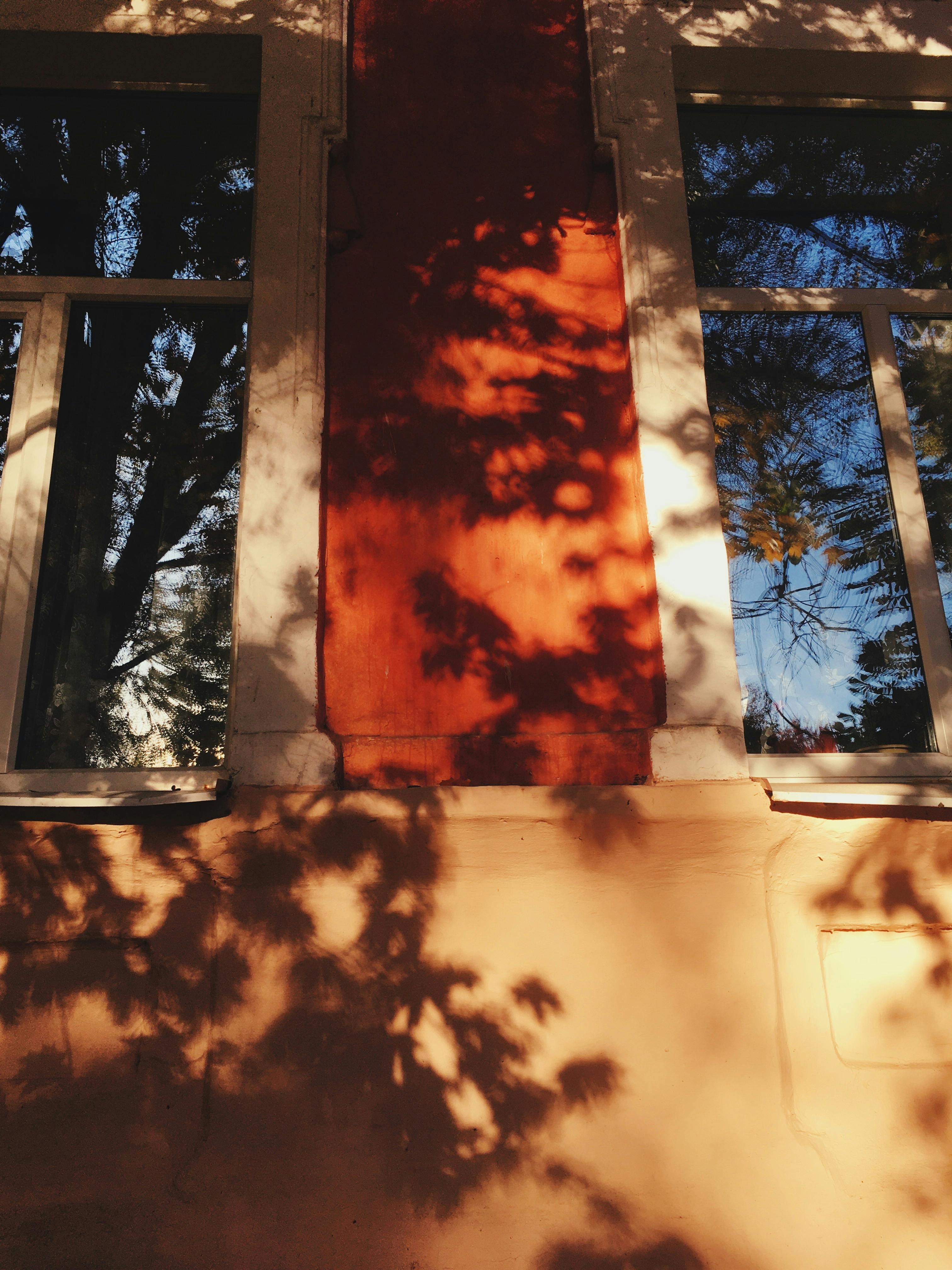 Photograph of Leaves Shadow on Windows · Free Stock Photo