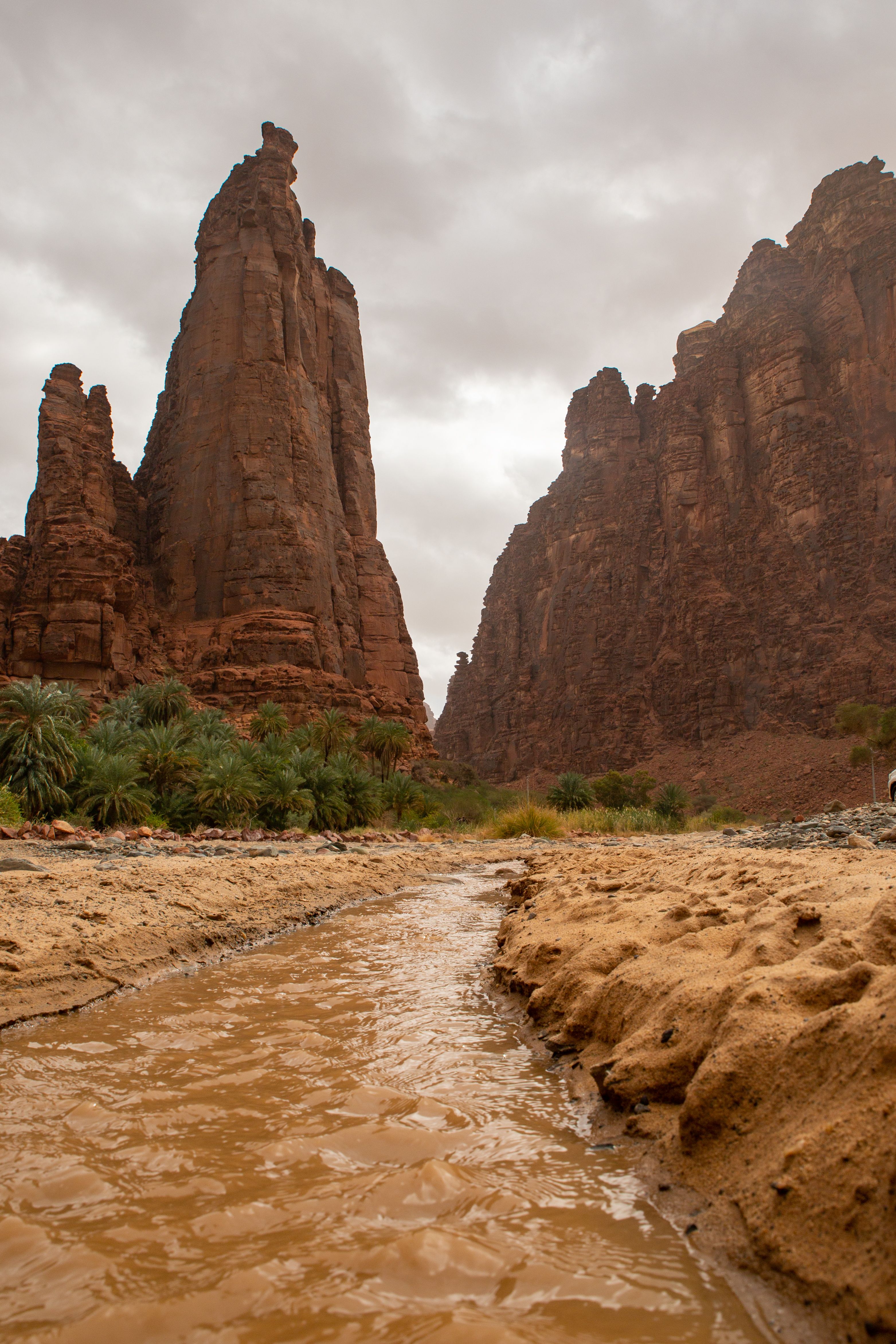 Stream in Wadi Al Disah in Saudi Arabia · Free Stock Photo