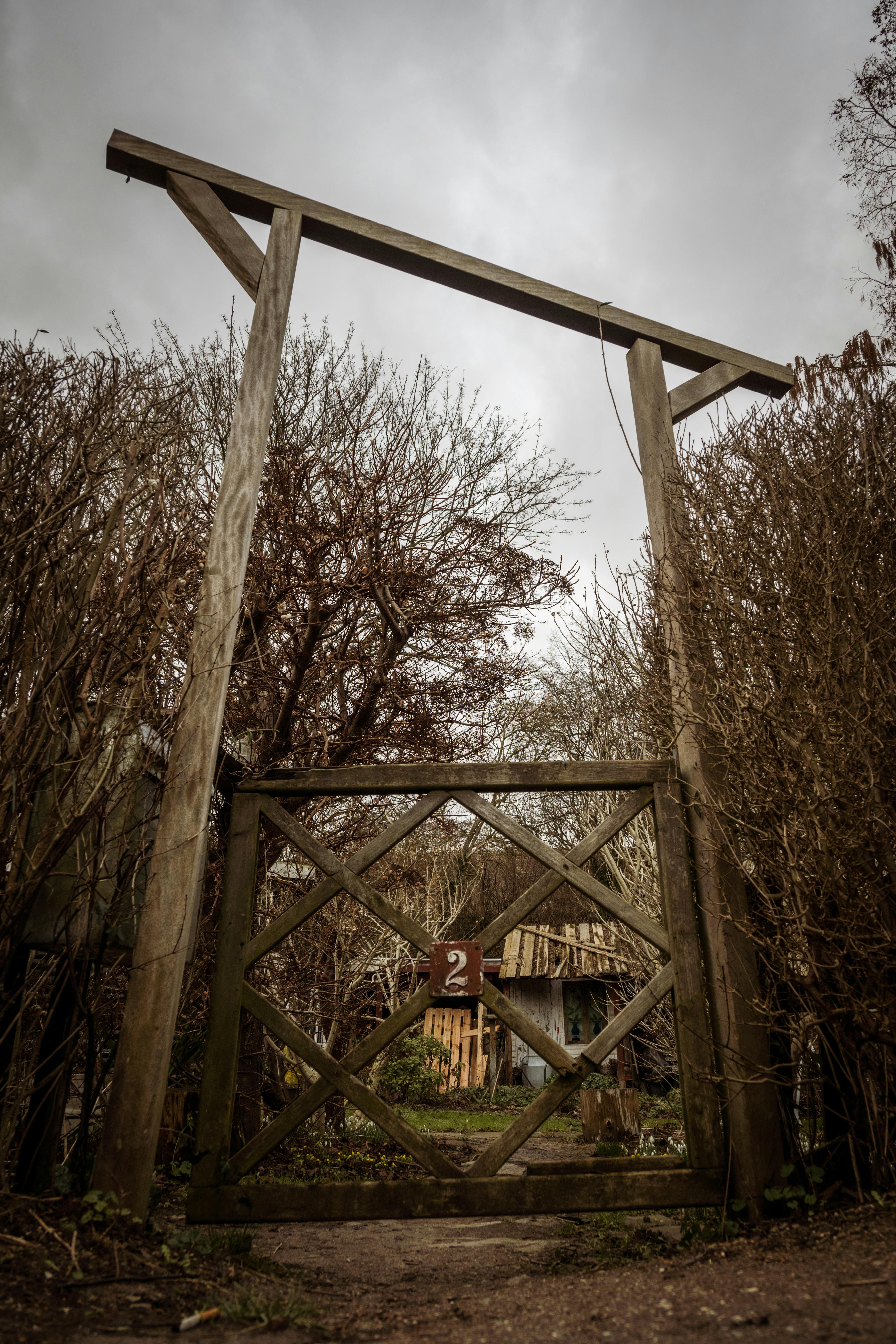 Brown Wooden Gate Near Bare Trees · Free Stock Photo