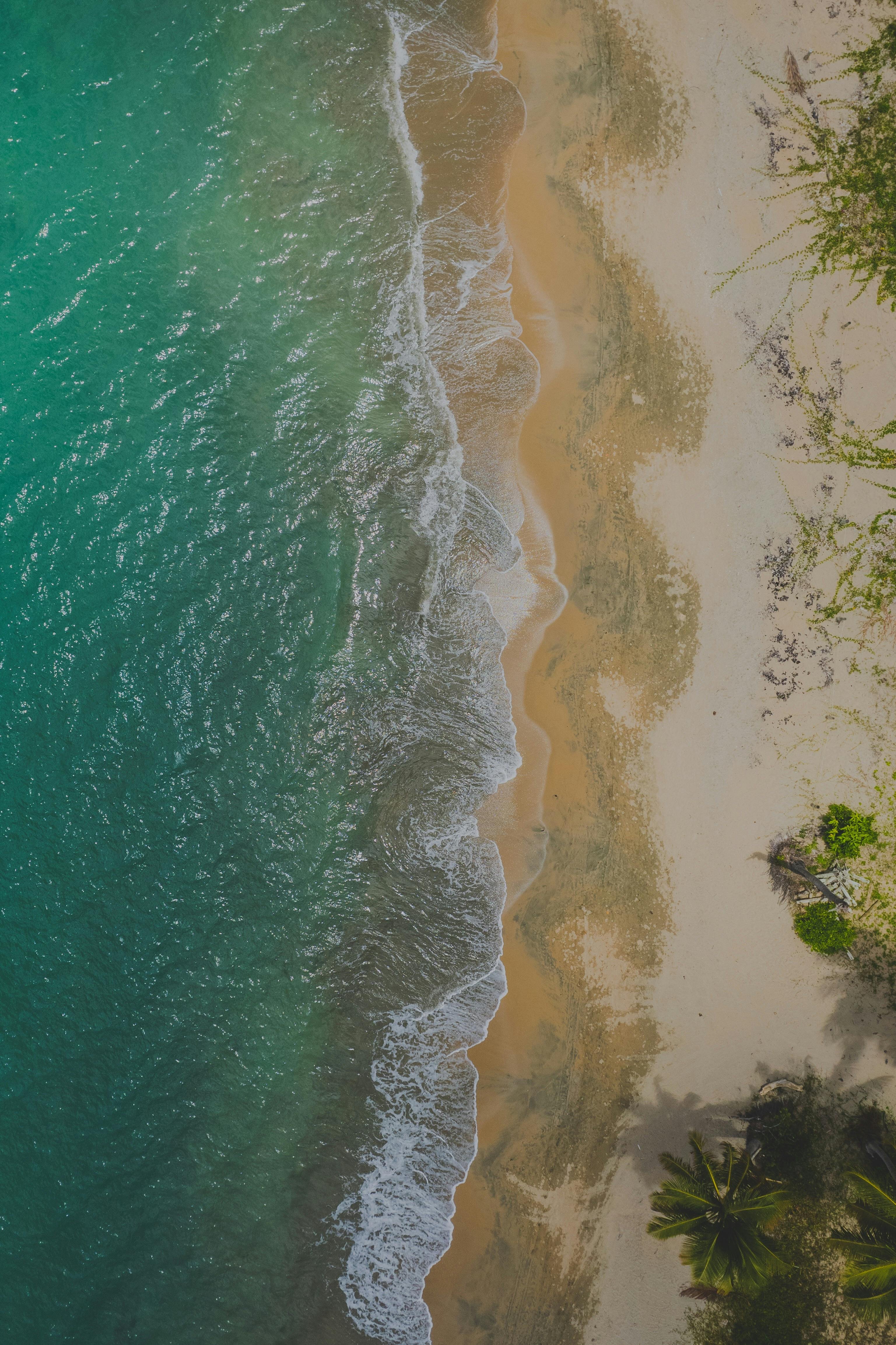 Aerial View of a Beach · Free Stock Photo