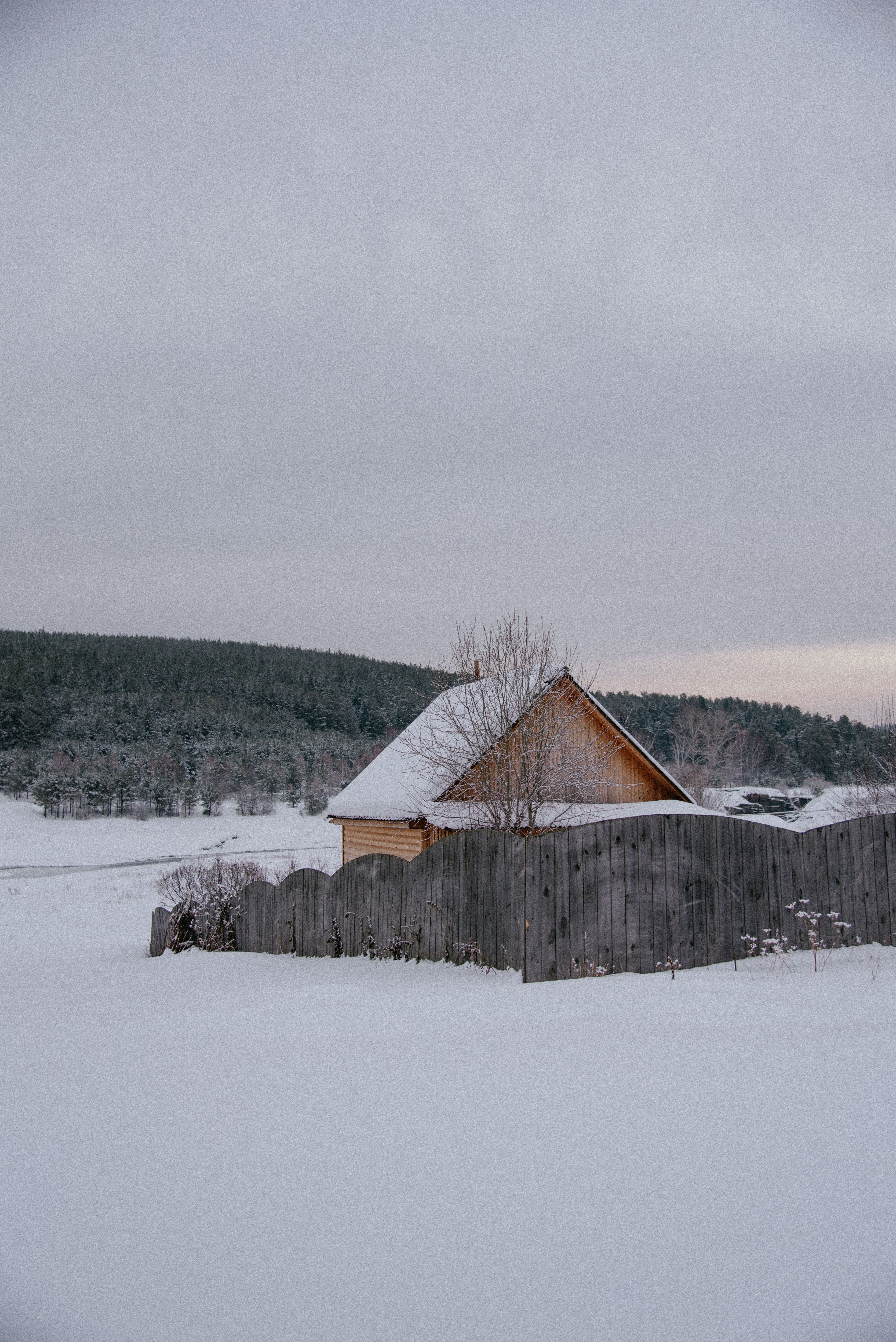 Wooden House in Snow · Free Stock Photo