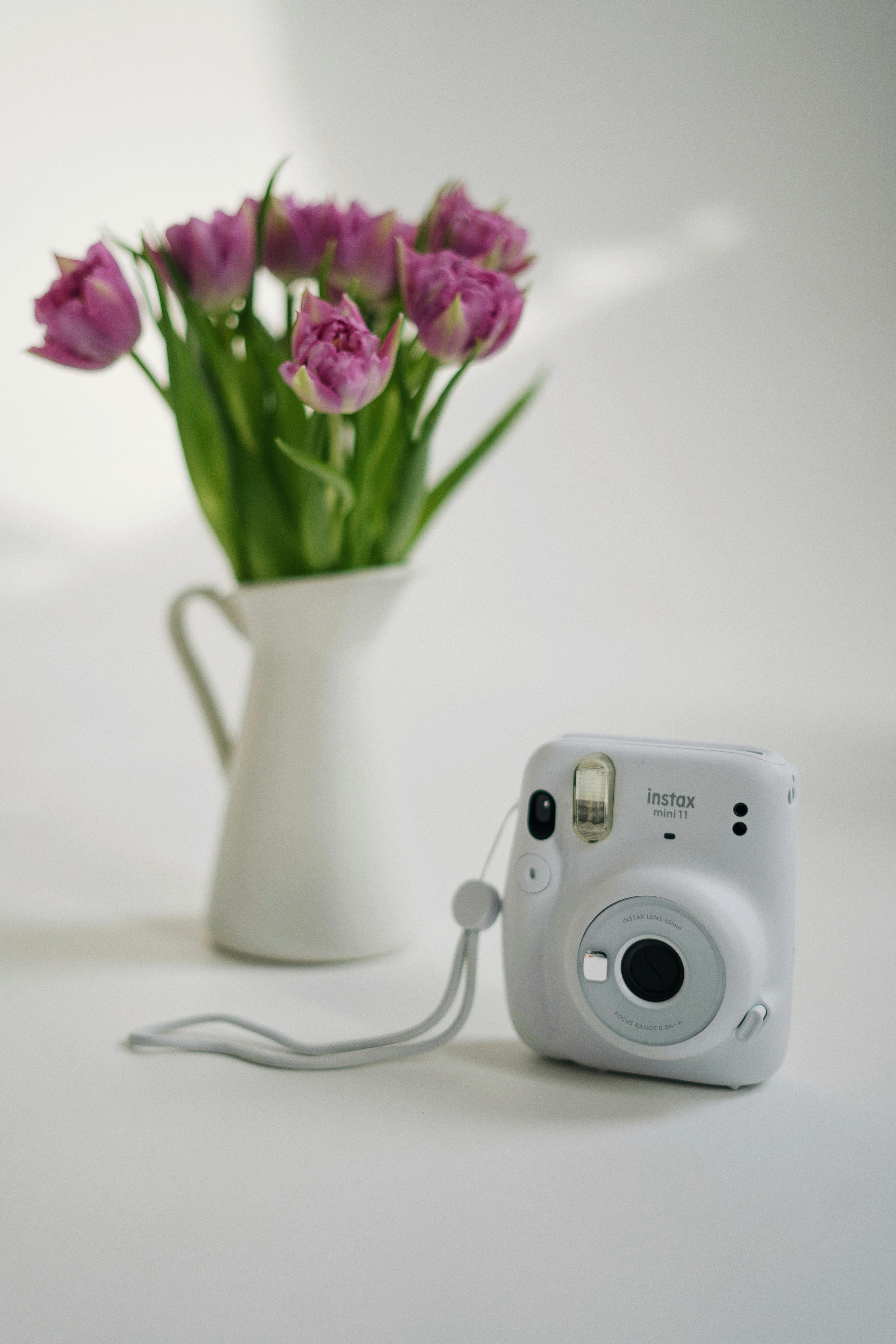 Camera White Background Photos, Download The BEST Free Camera White ...