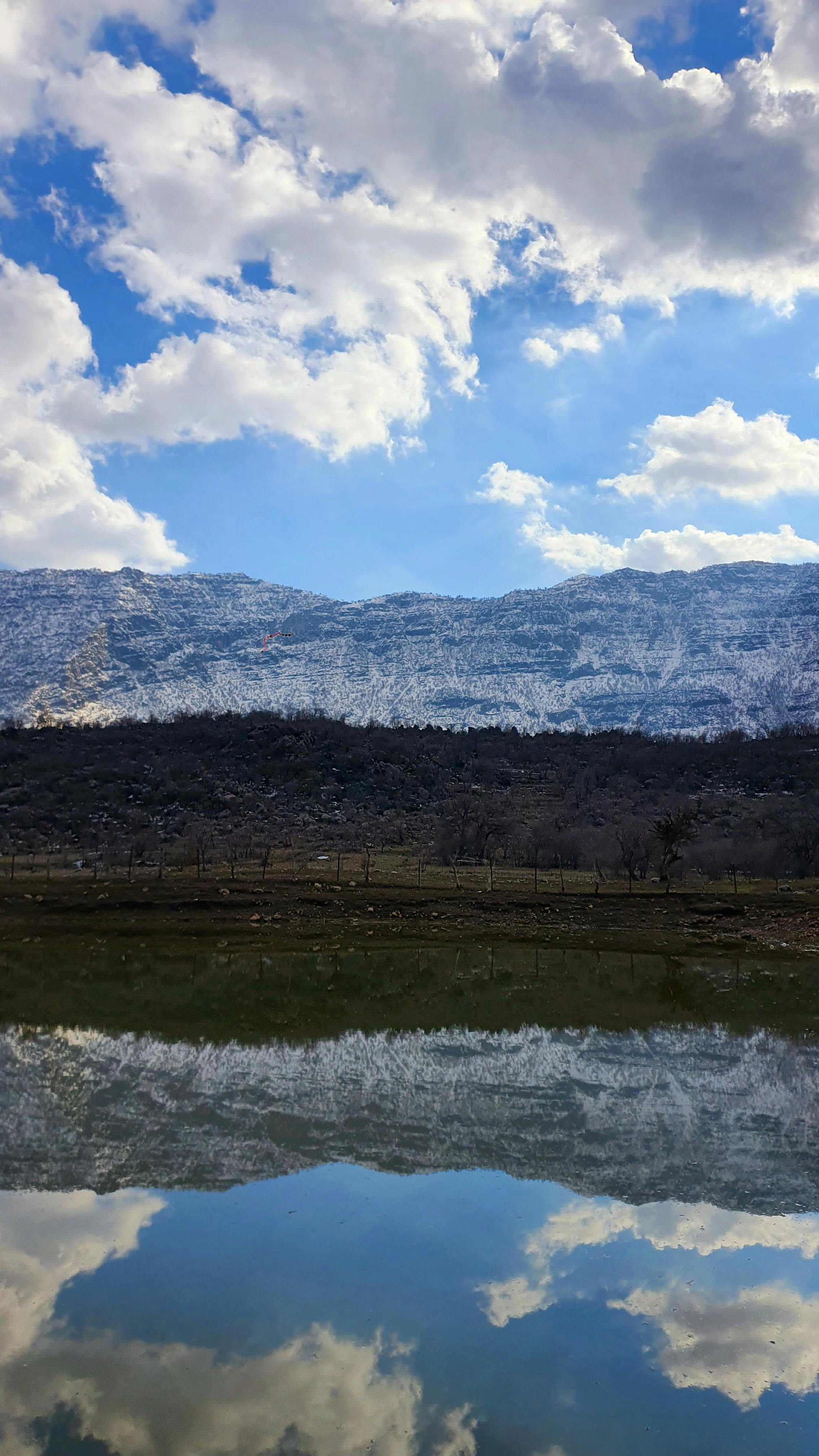 Scenic Landscape Reflecting in Water · Free Stock Photo