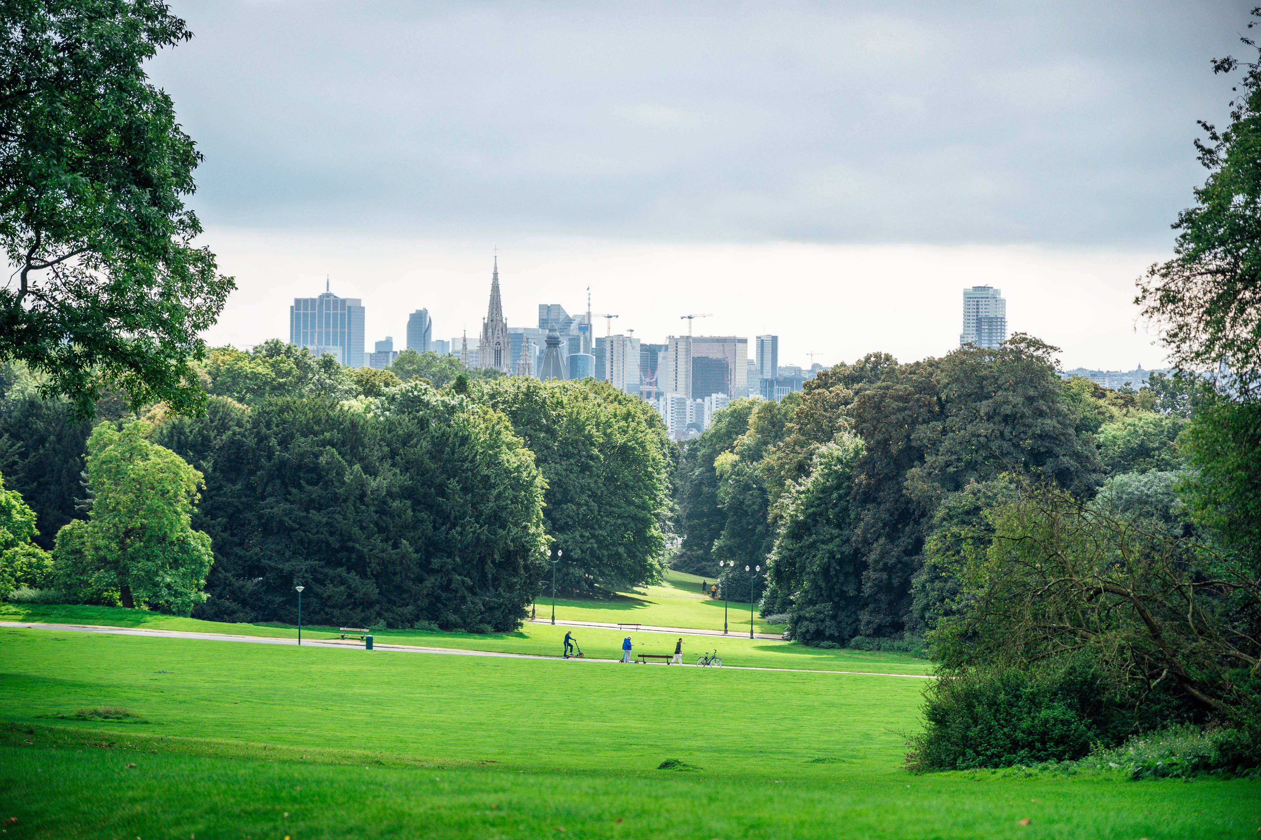 Downtown Seen from Park · Free Stock Photo