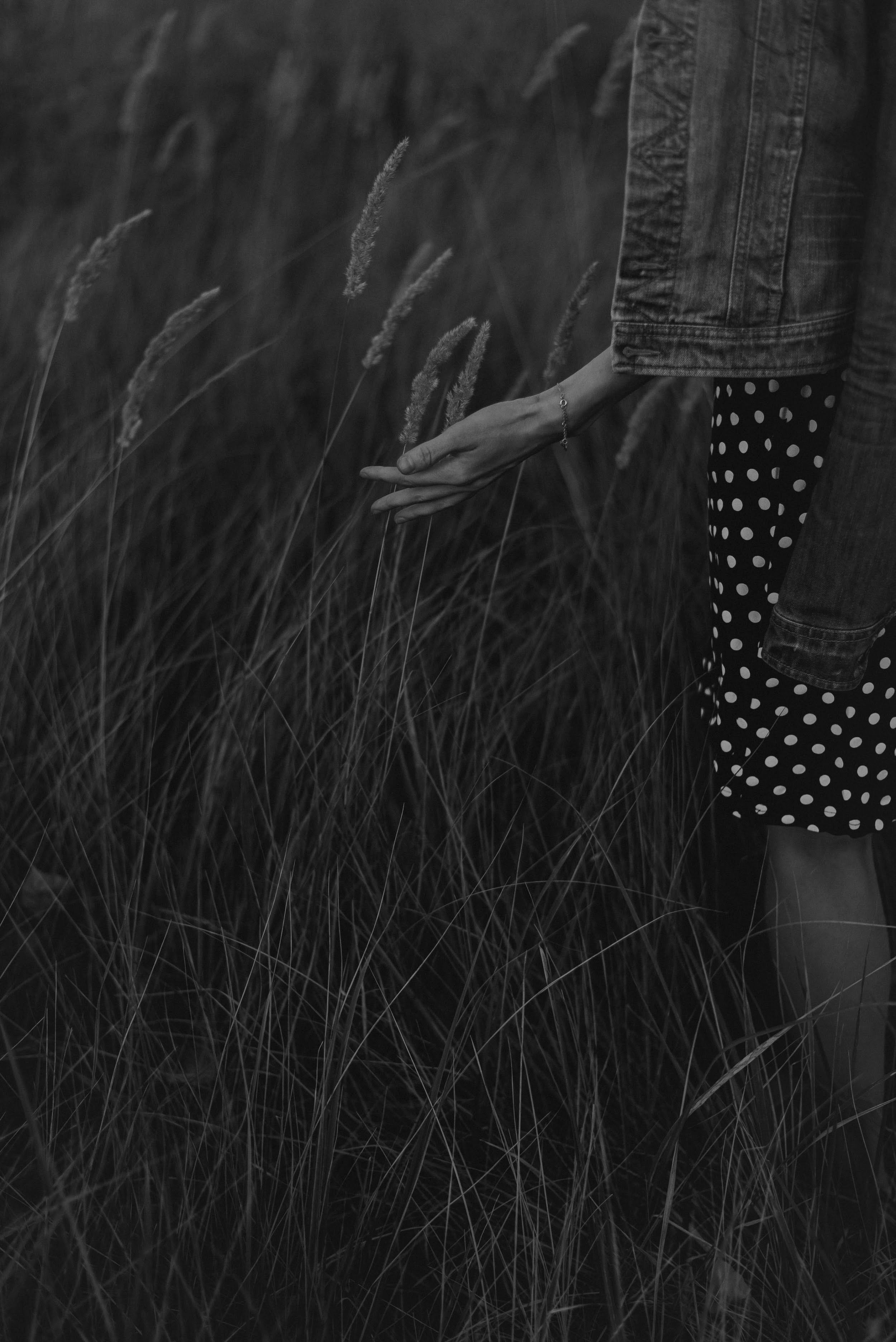 Straw Dot Photos, Download The BEST Free Straw Dot Stock Photos & HD Images