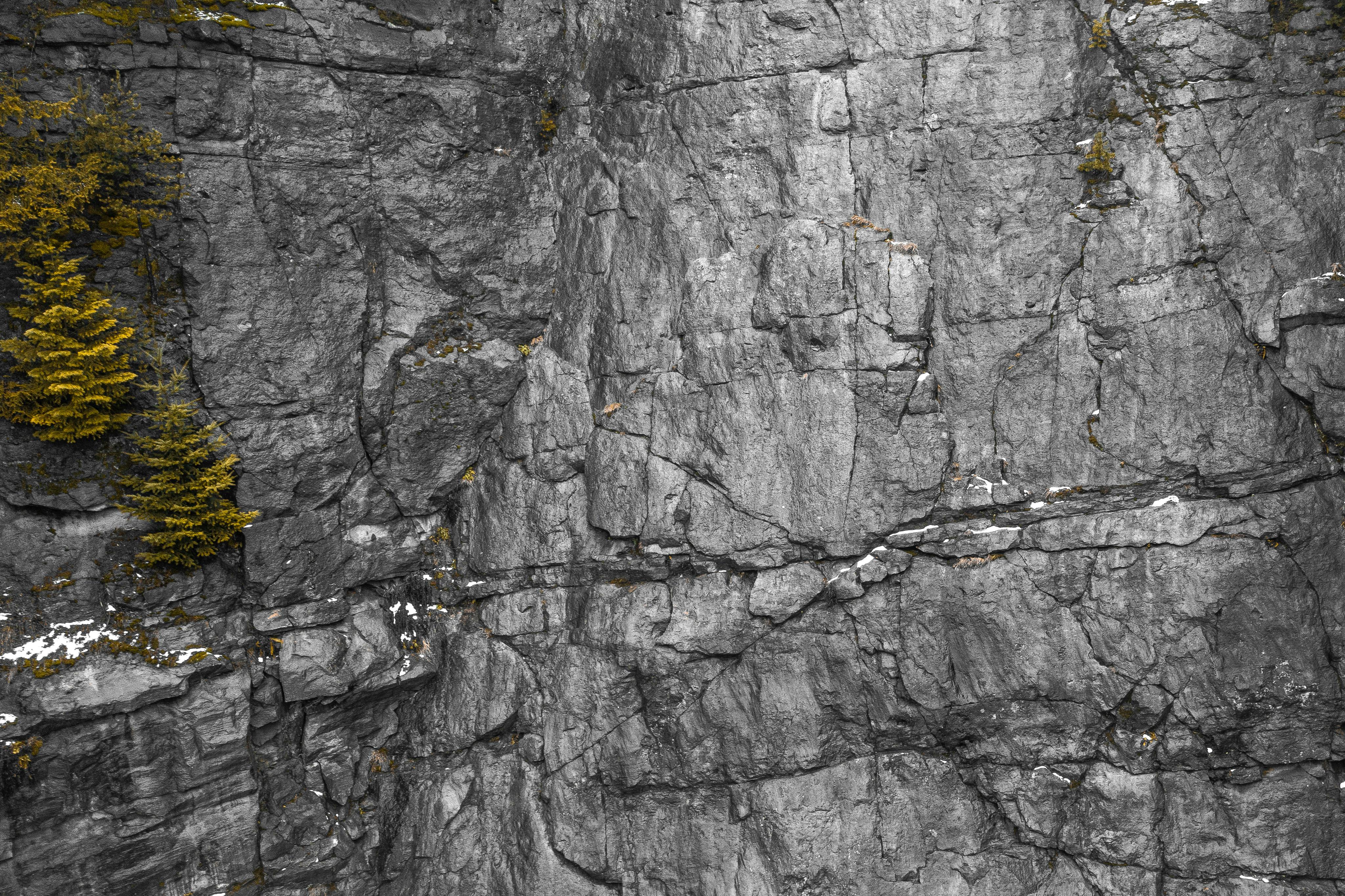 Rough Cliff Texture · Free Stock Photo