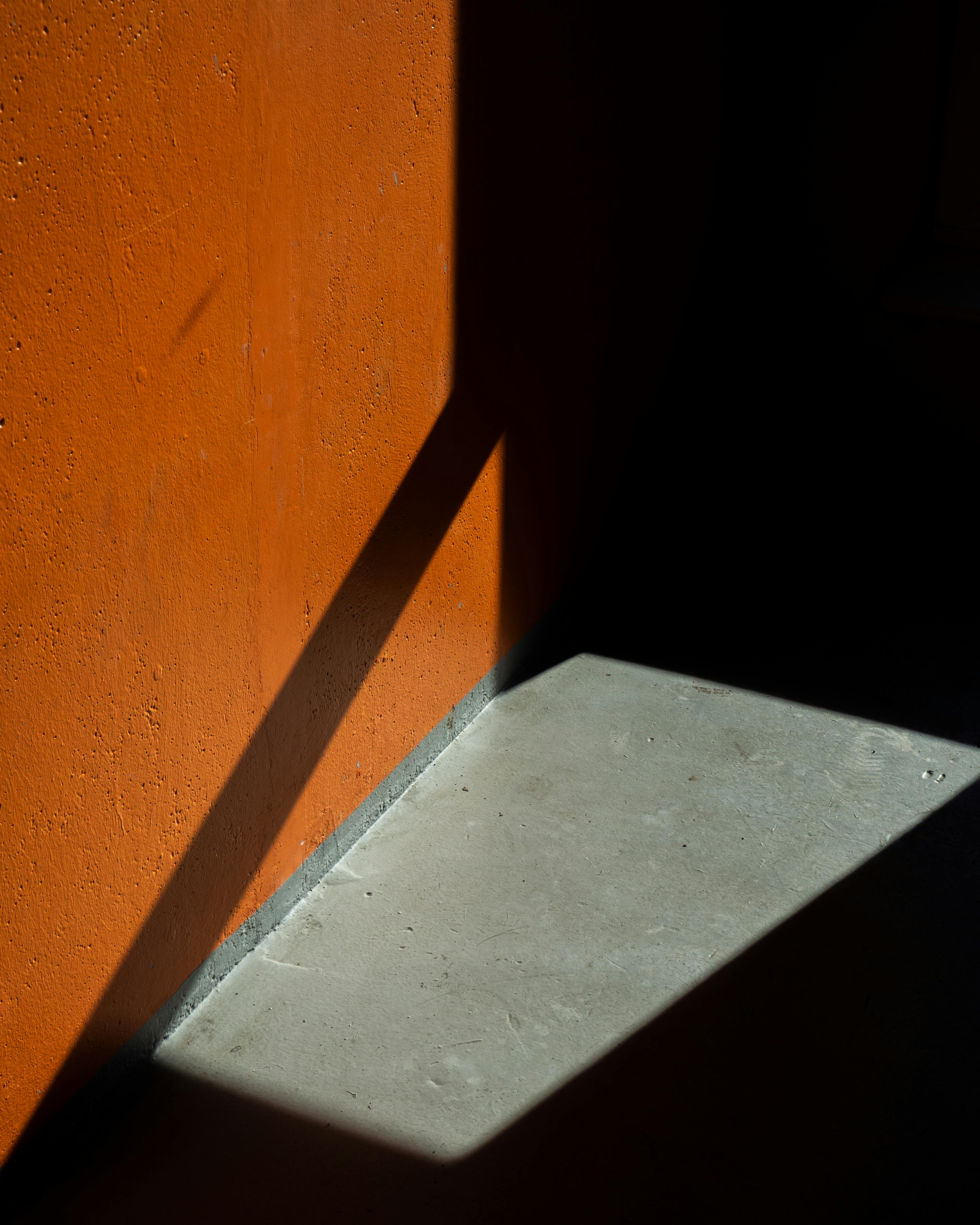 Shadow on Concrete Wall · Free Stock Photo