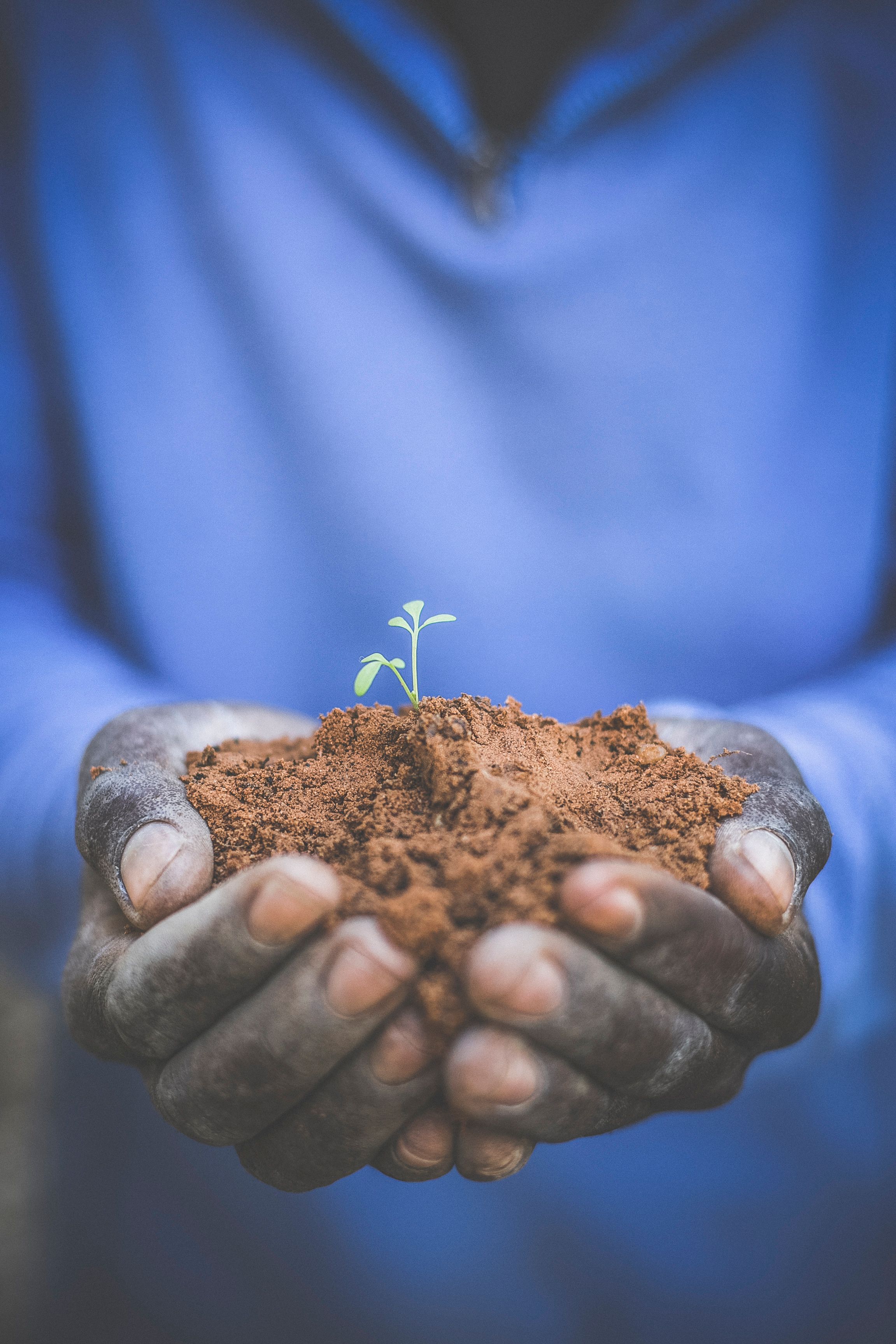 Free stock photo of hands, hands holding water, life giving water