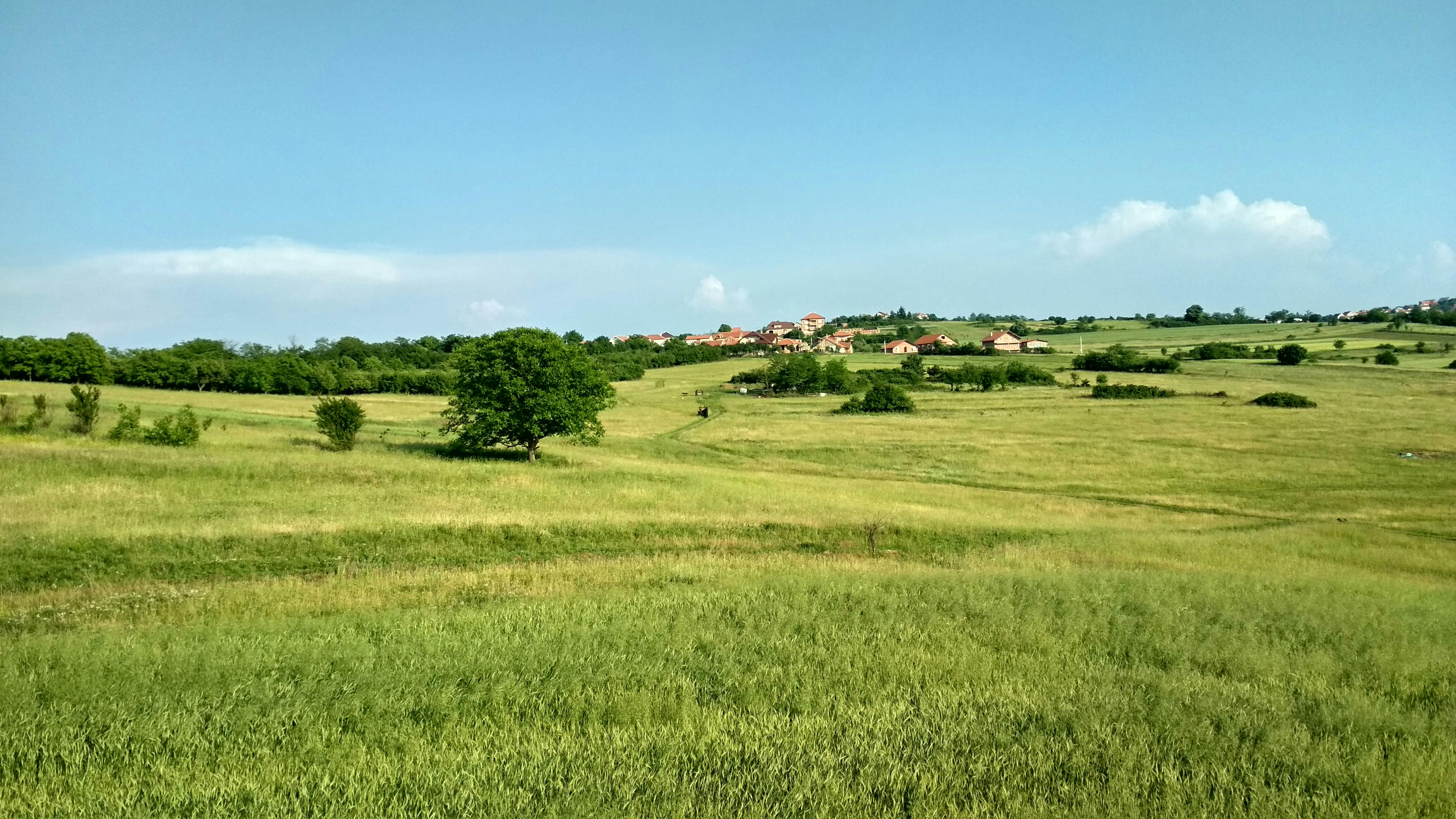 Free stock photo of awesome, country, field