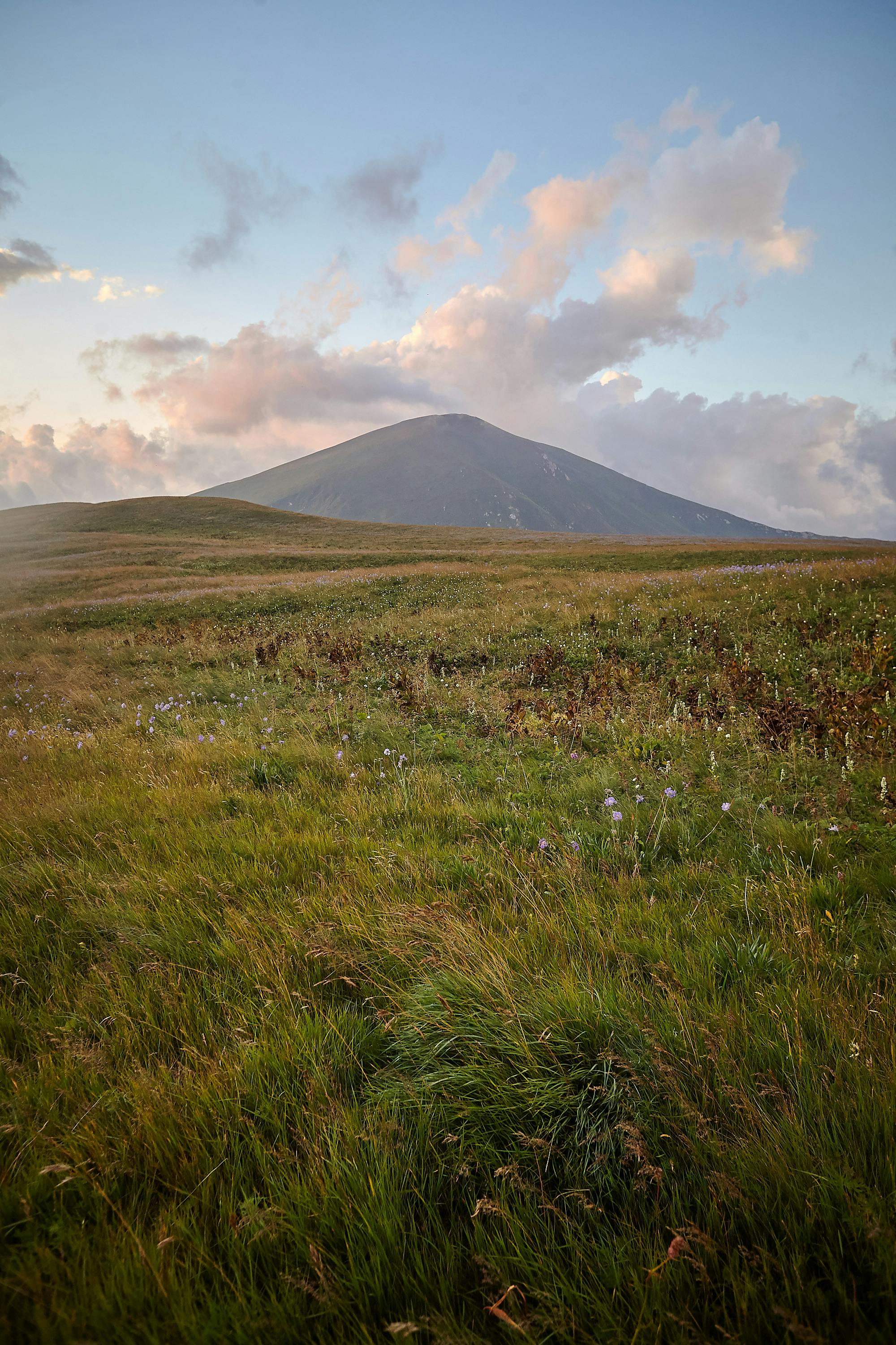 Eugene Vorontsov - Photography