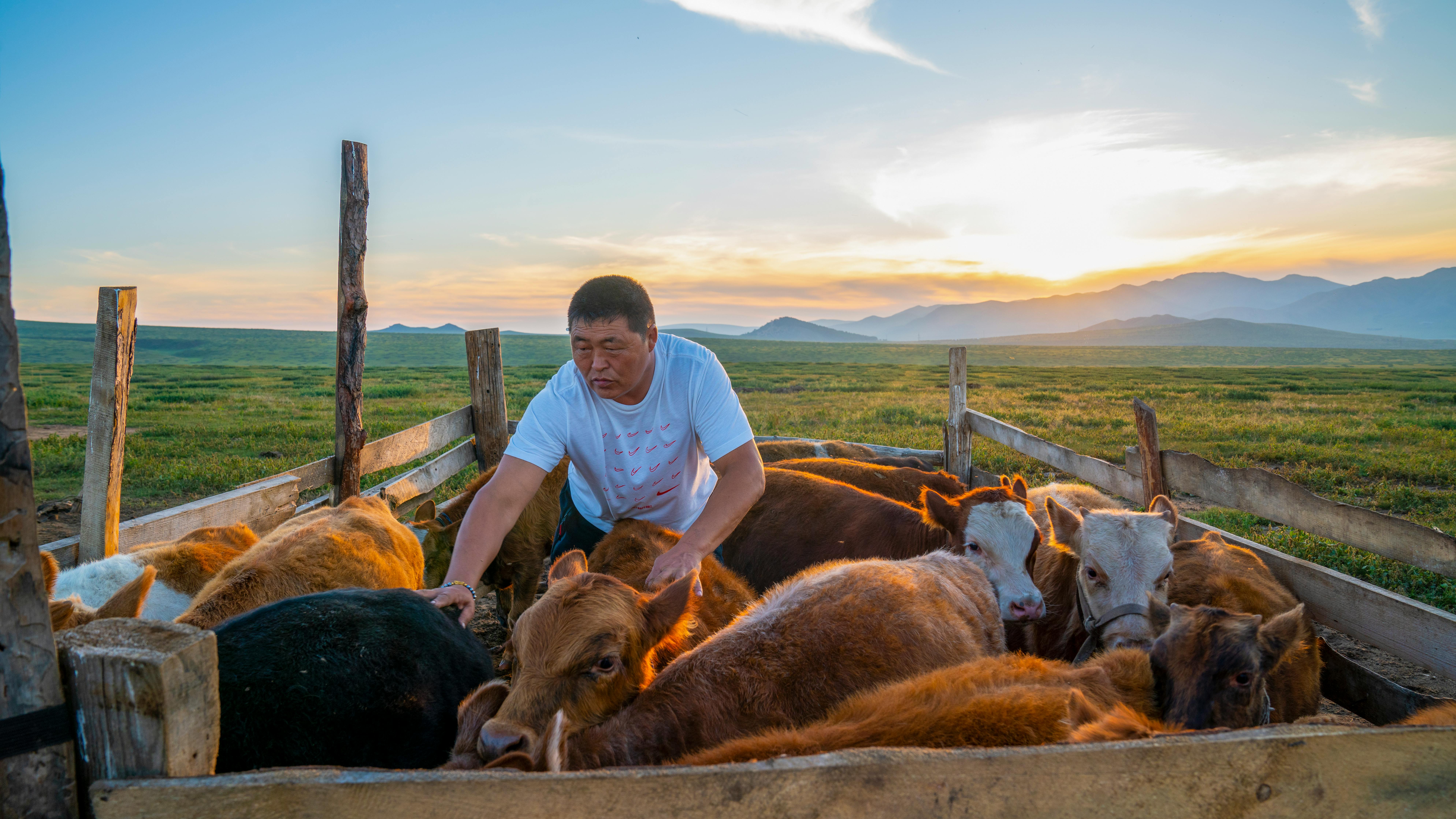 Foto profissional gratuita de agricultor, agricultura, agricultura ...