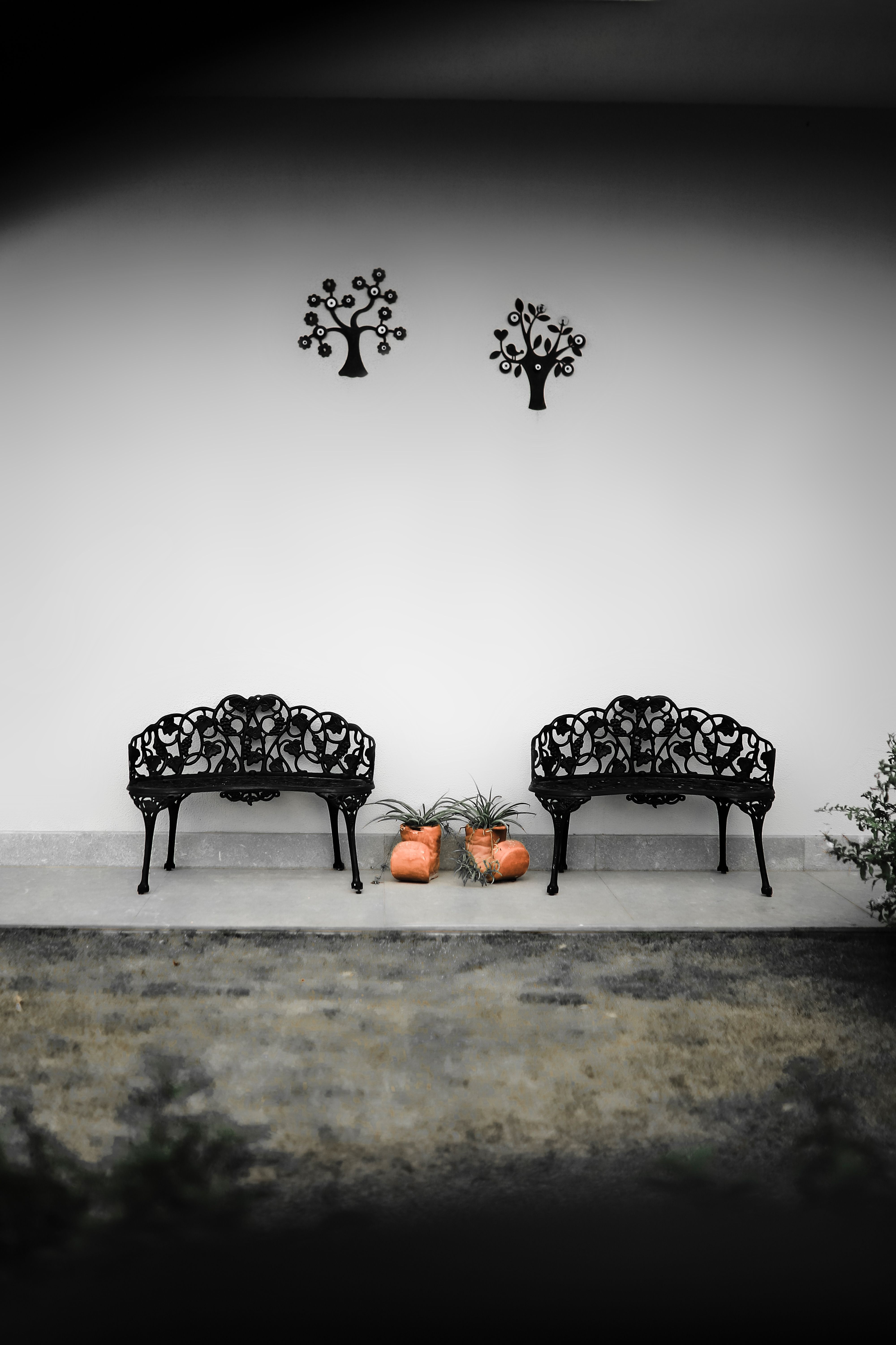 Two Benches by a Wall · Free Stock Photo