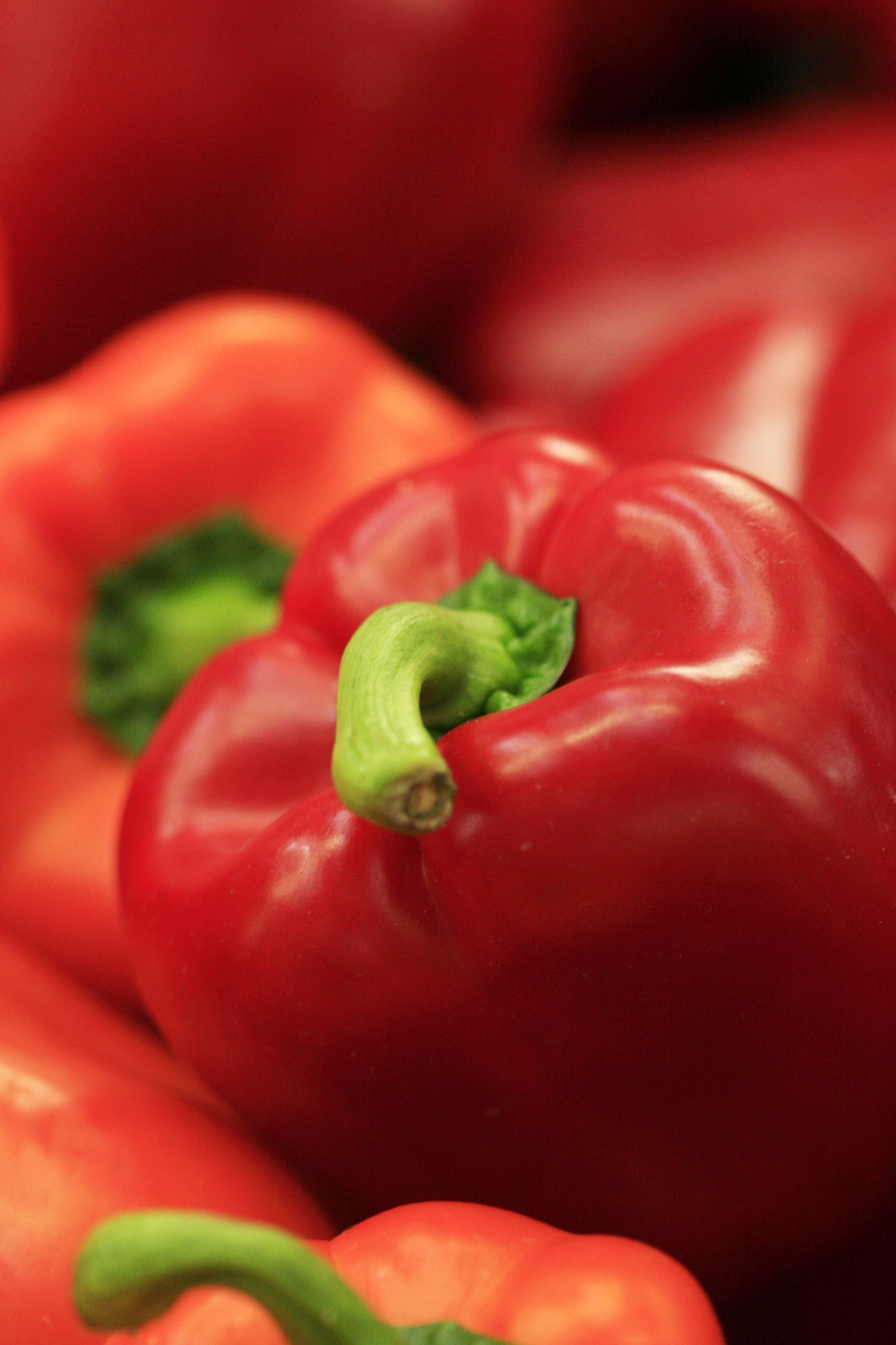 Close-Up Photo of Person Holding Red and Orange Bell Peppers · Free ...