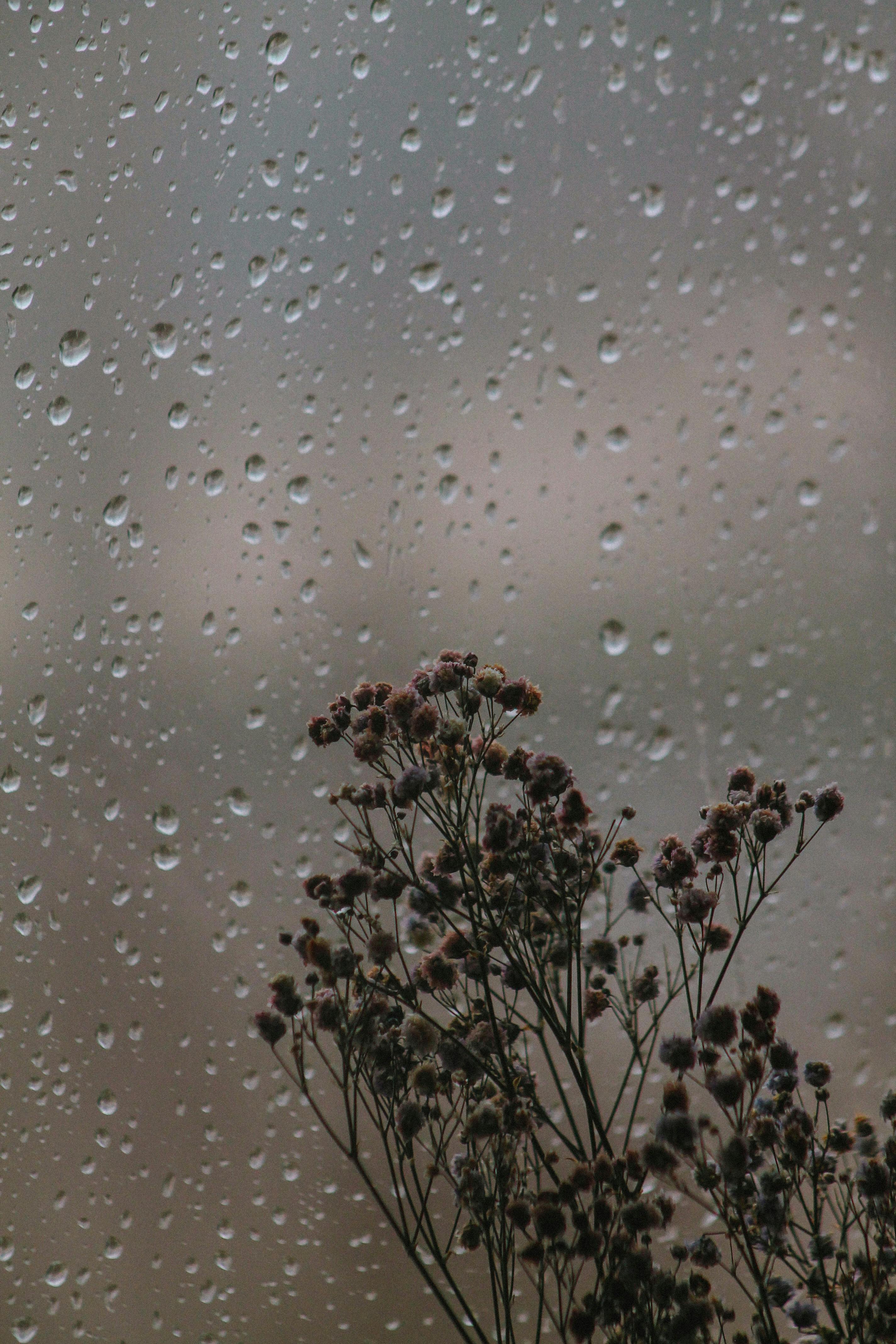 Small Raindrops Window Photos, Download The BEST Free Small Raindrops ...