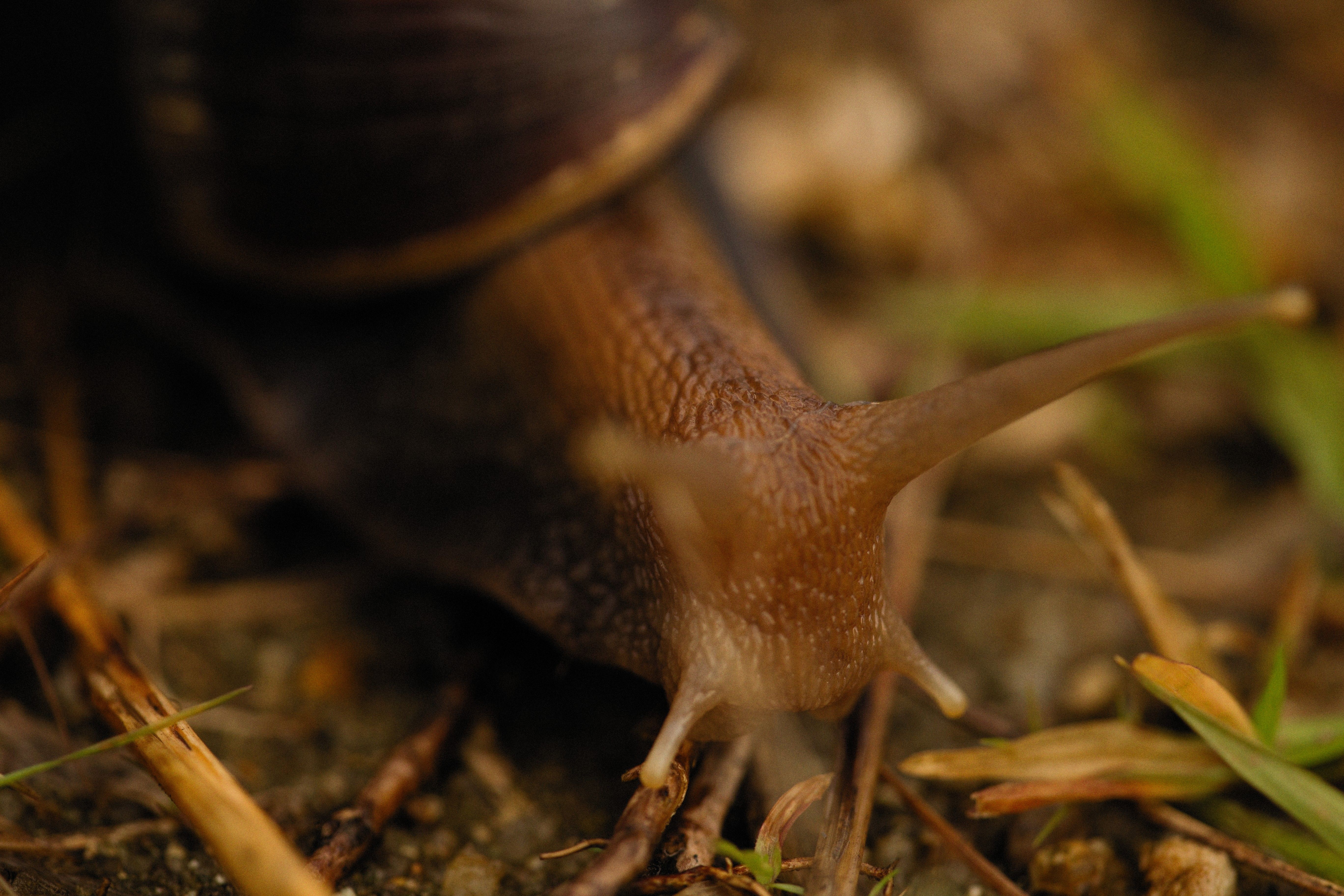 Slow Animated Wallpaper Photos, Download The BEST Free Slow Animated ...