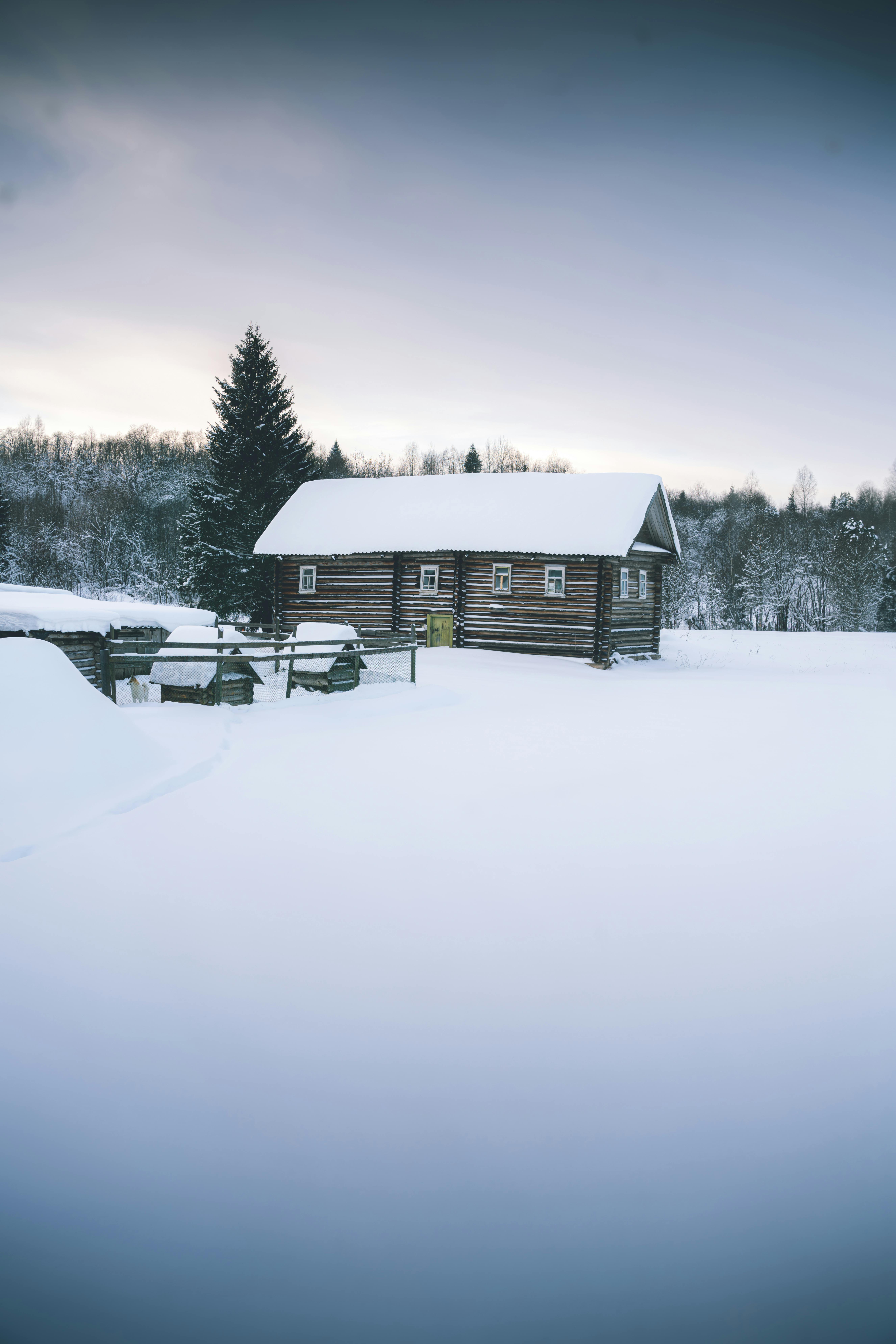 Snowy Brown House Near Tree · Free Stock Photo