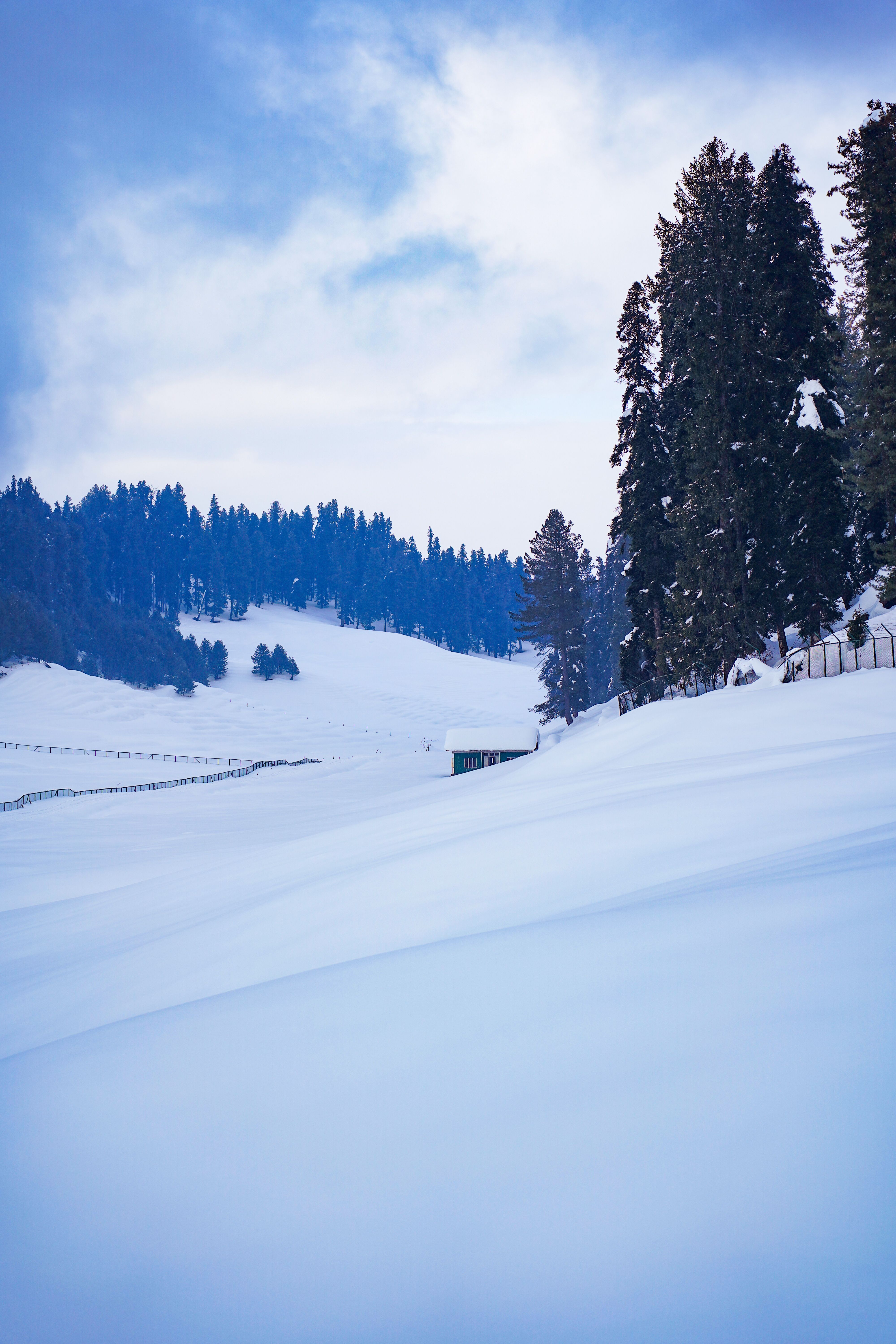 Snow Sinking Photos, Download The BEST Free Snow Sinking Stock Photos ...