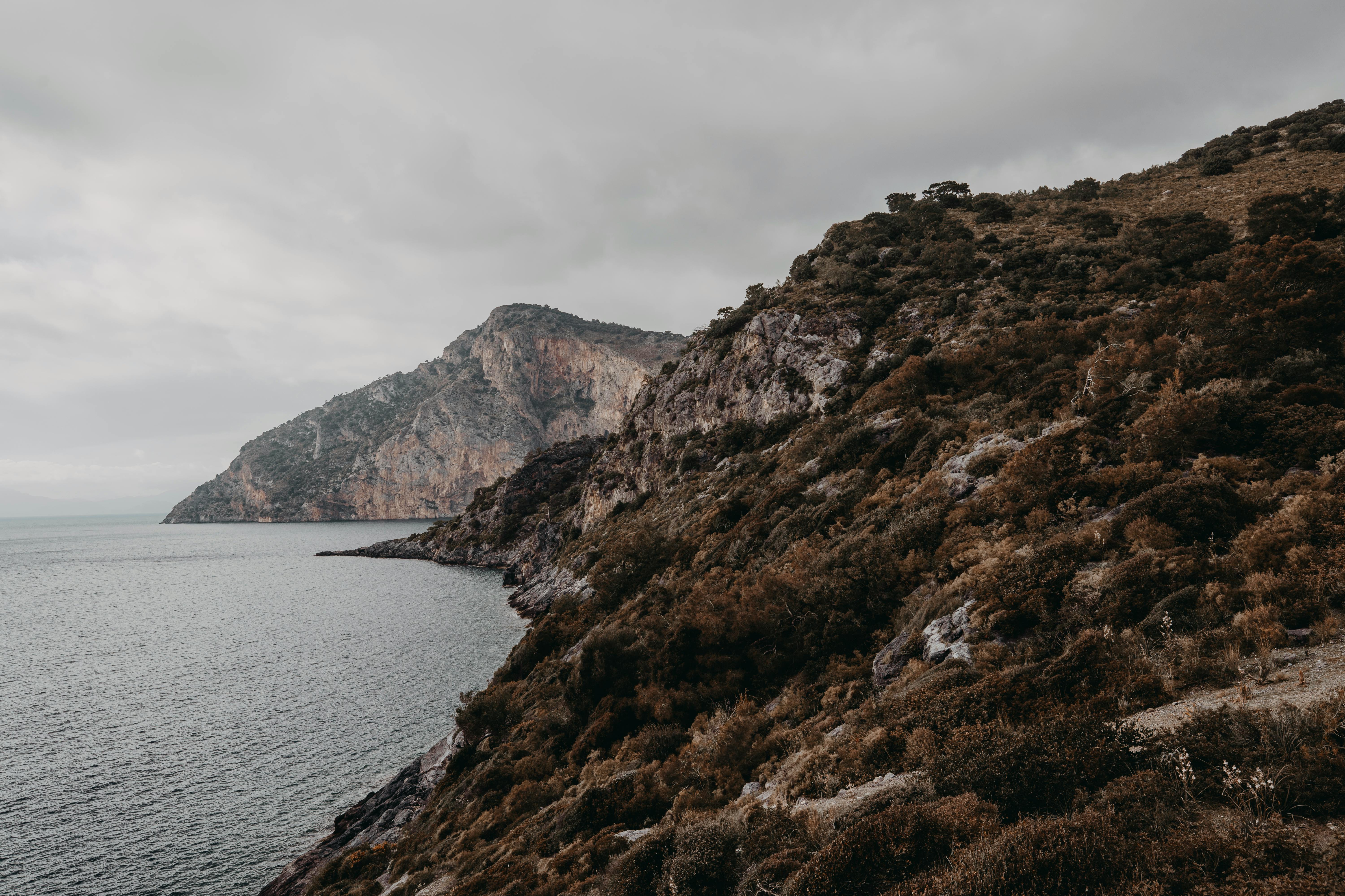 Thick Foliage Covering Cliffs by Coast · Free Stock Photo