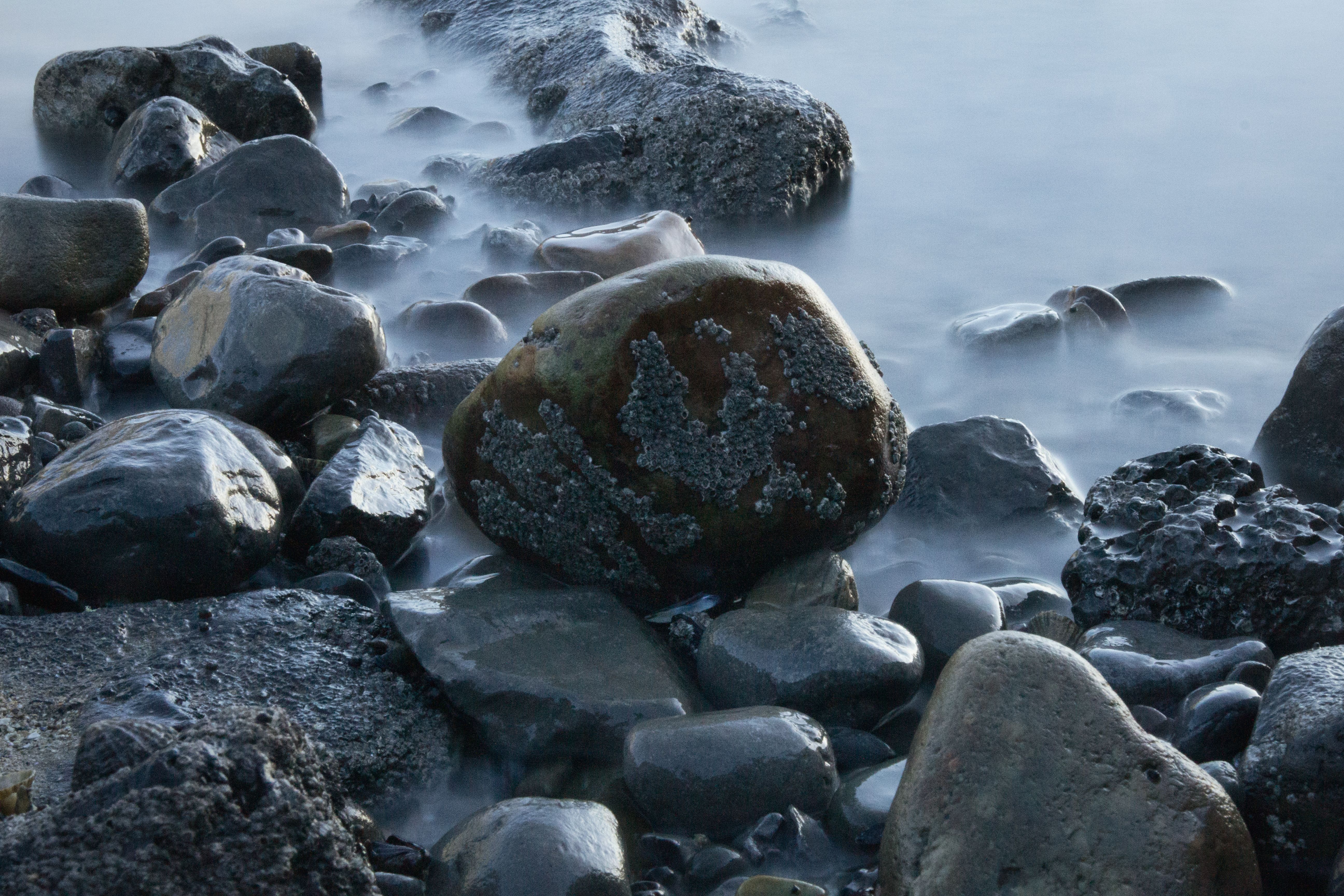 Rocks in Fog · Free Stock Photo