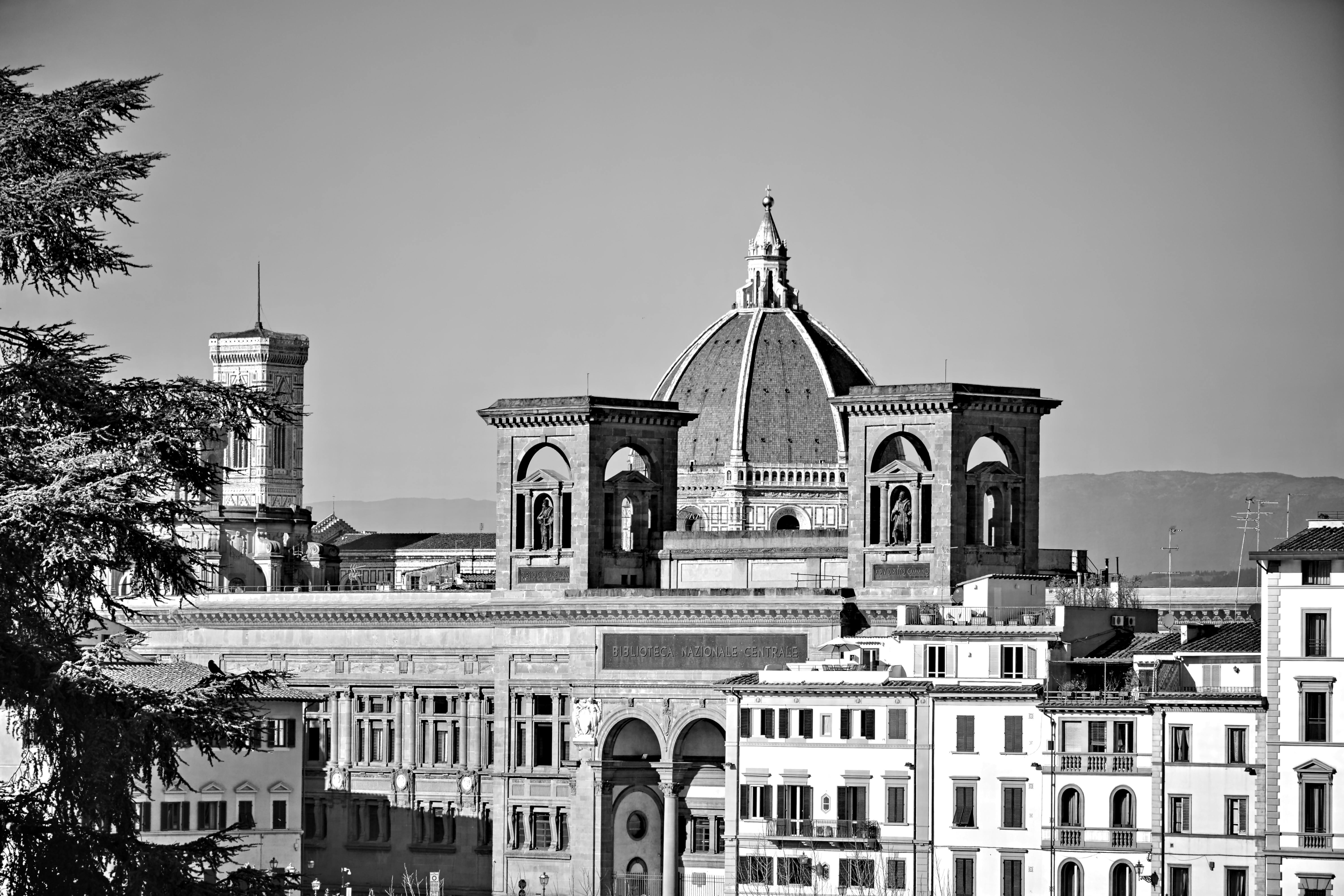 Old City Architecture in Black and White · Free Stock Photo