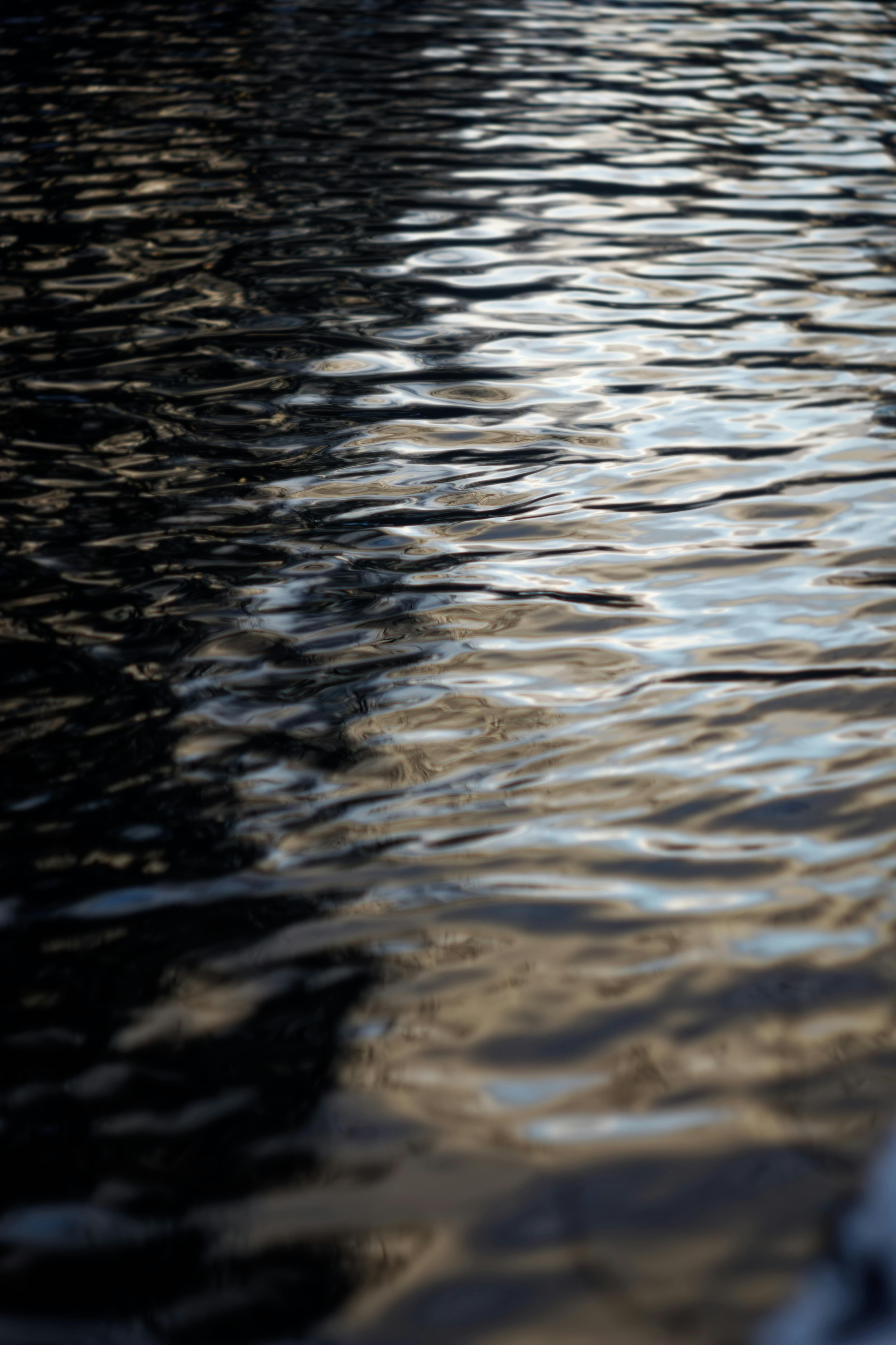 Water Ripple · Free Stock Photo