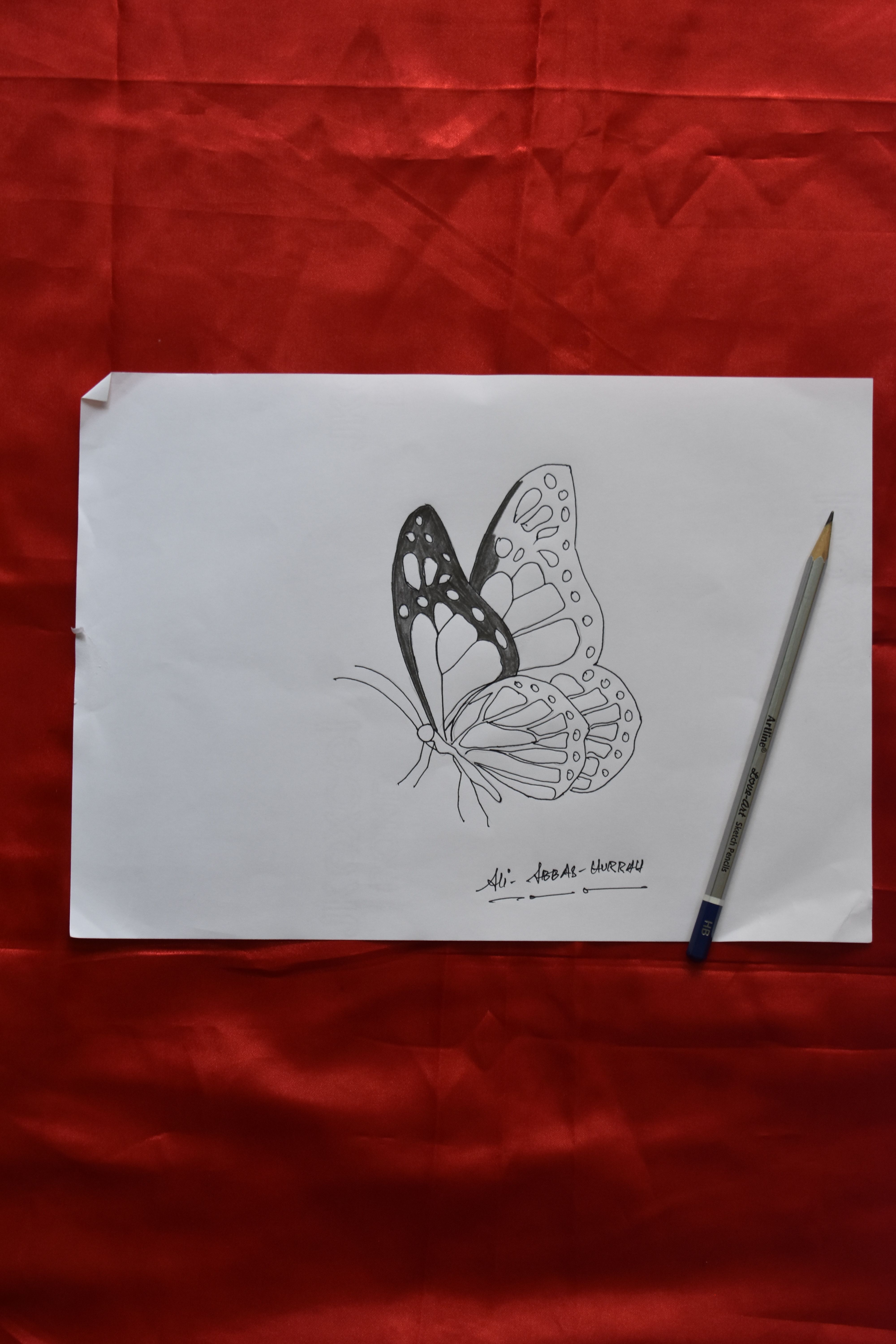 Butterfly Art Photos, Download The BEST Free Butterfly Art Stock Photos ...