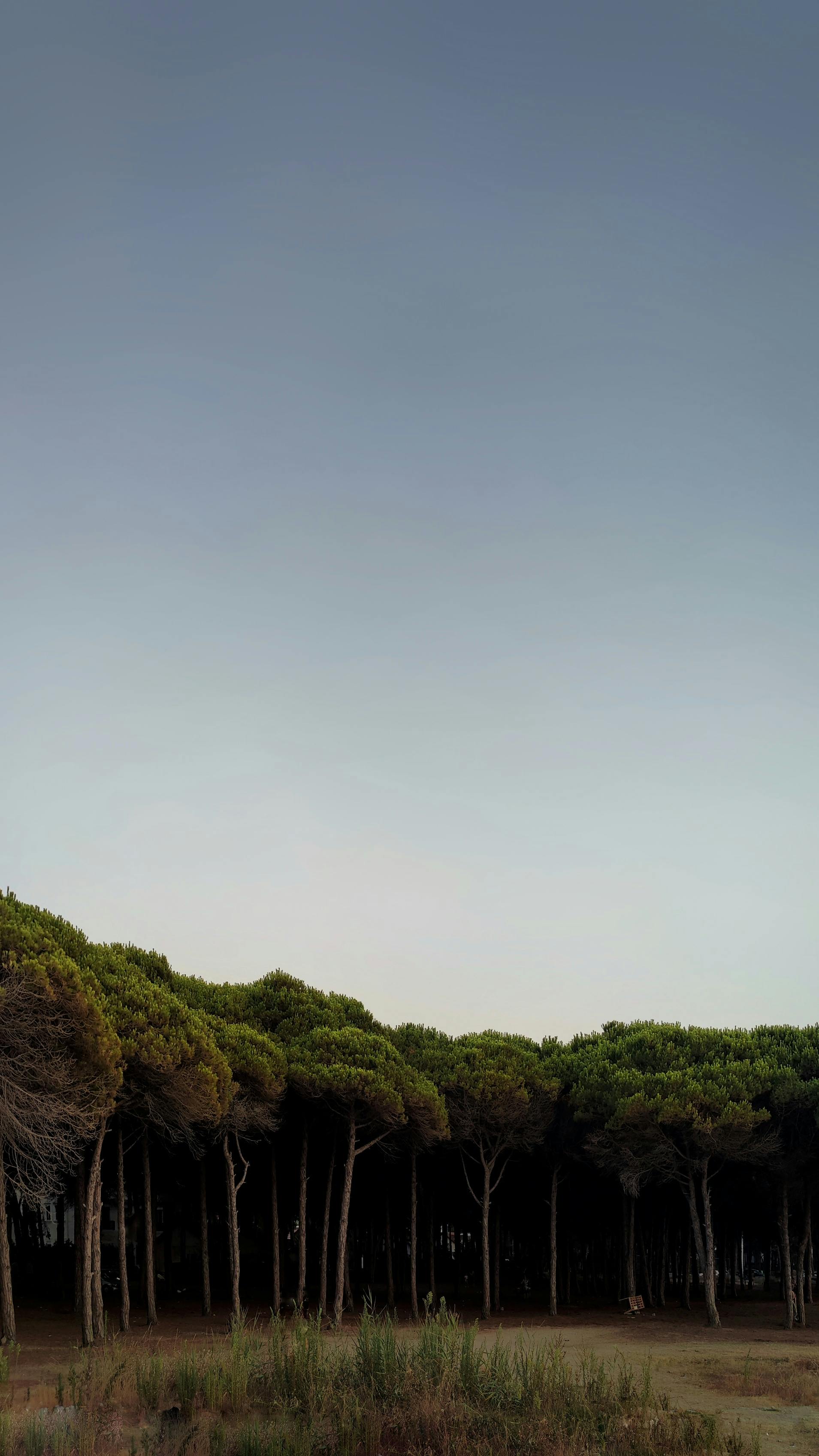 Sky Chefs Photos, Download Free Sky Chefs Stock Photos & HD Images