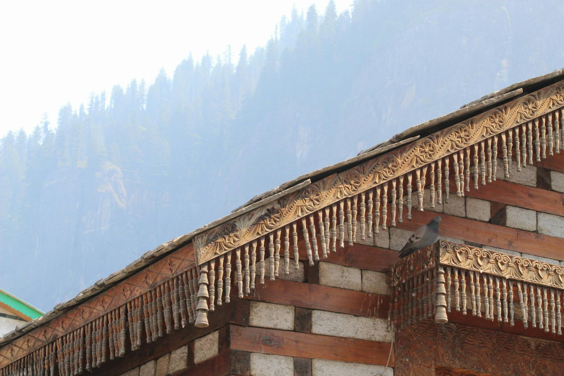 Gratis stockfoto van awadh · Pexels