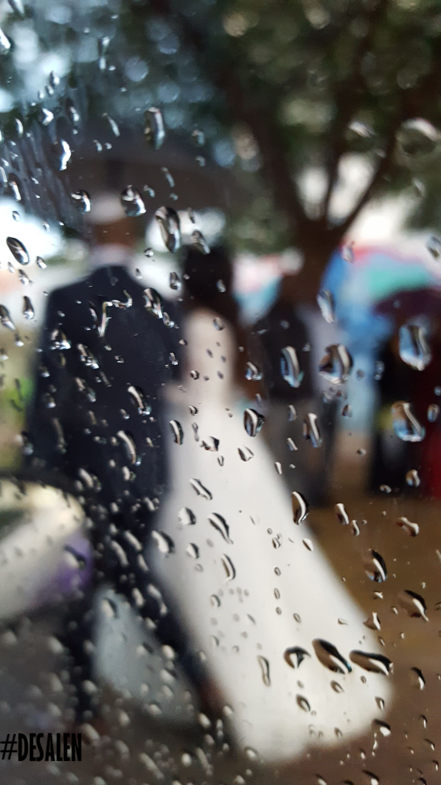 Free stock photo of blur, bride, Bride and Groom - Stock Image - Everypixel