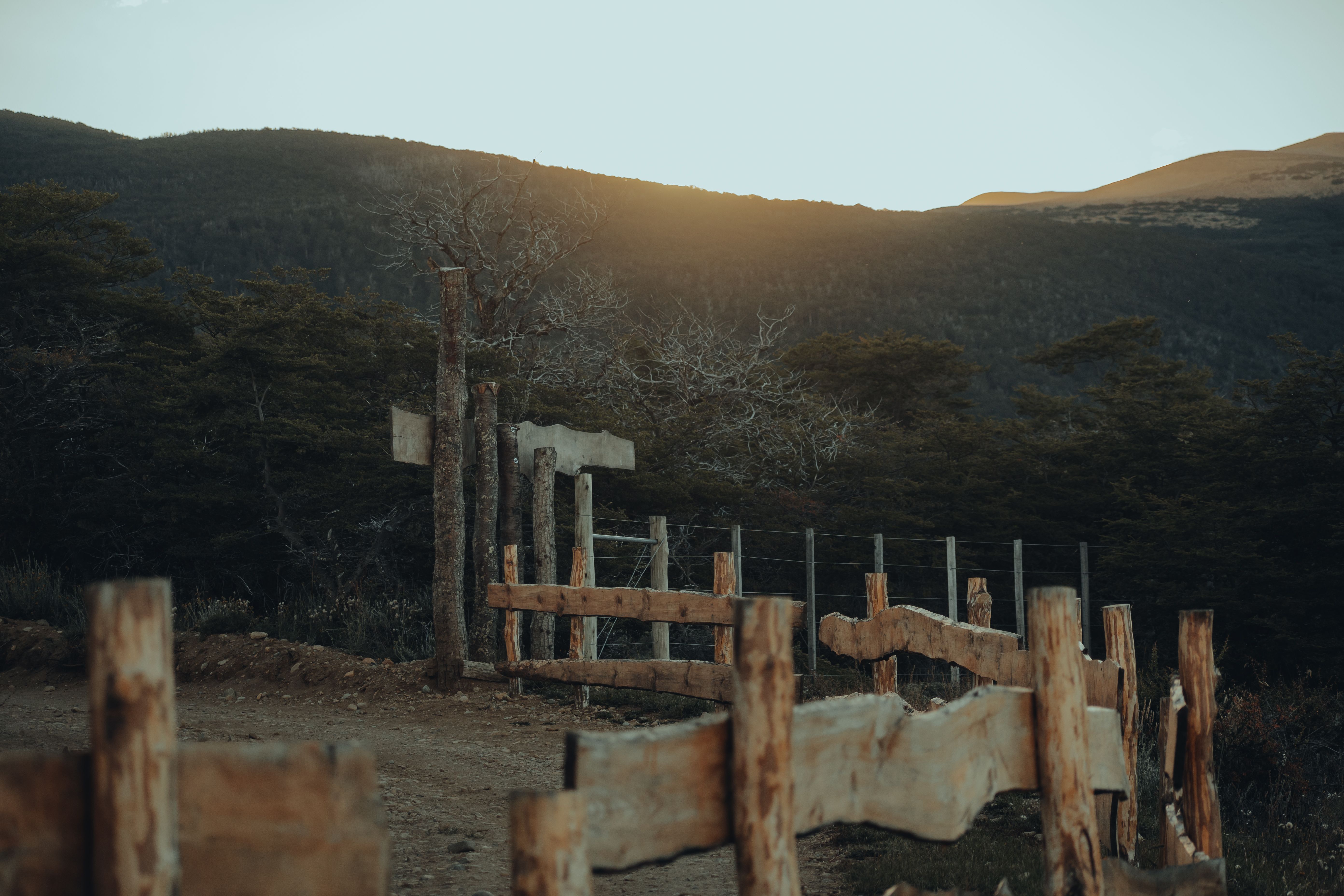 Empty Dirt Road at Dusk · Free Stock Photo