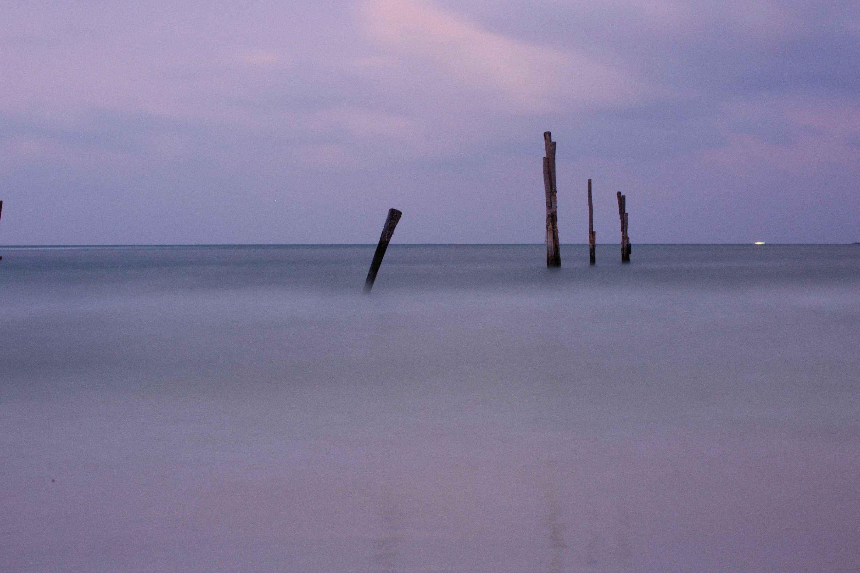 Sticks in Sea on Shore · Free Stock Photo