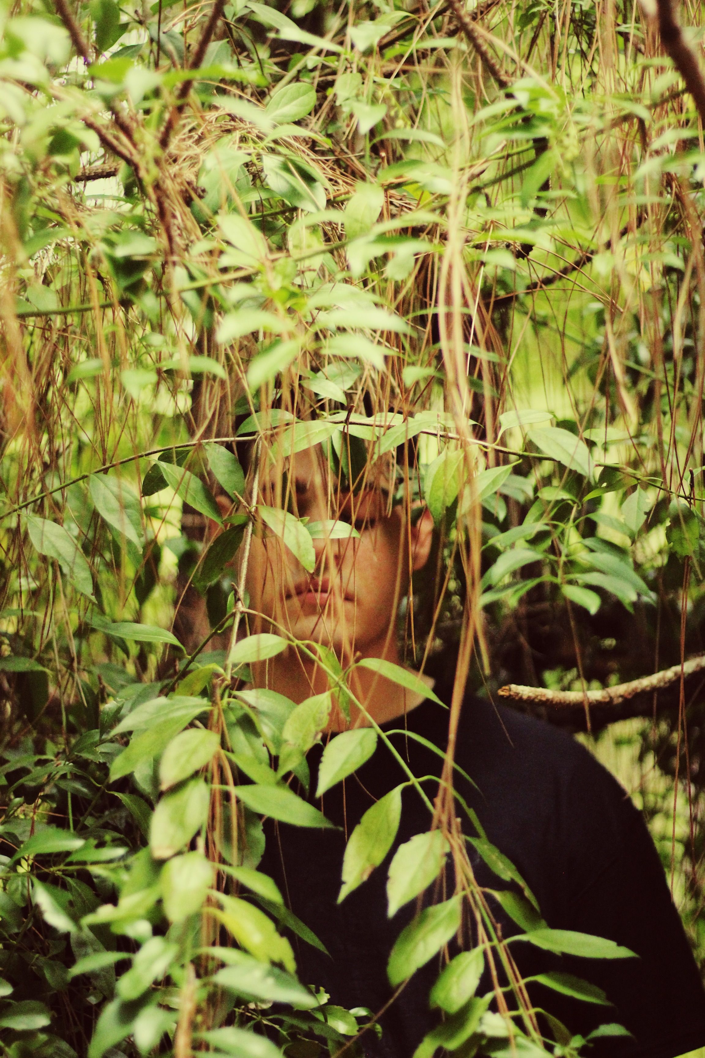 Jungle Face Photos, Download The BEST Free Jungle Face Stock Photos ...