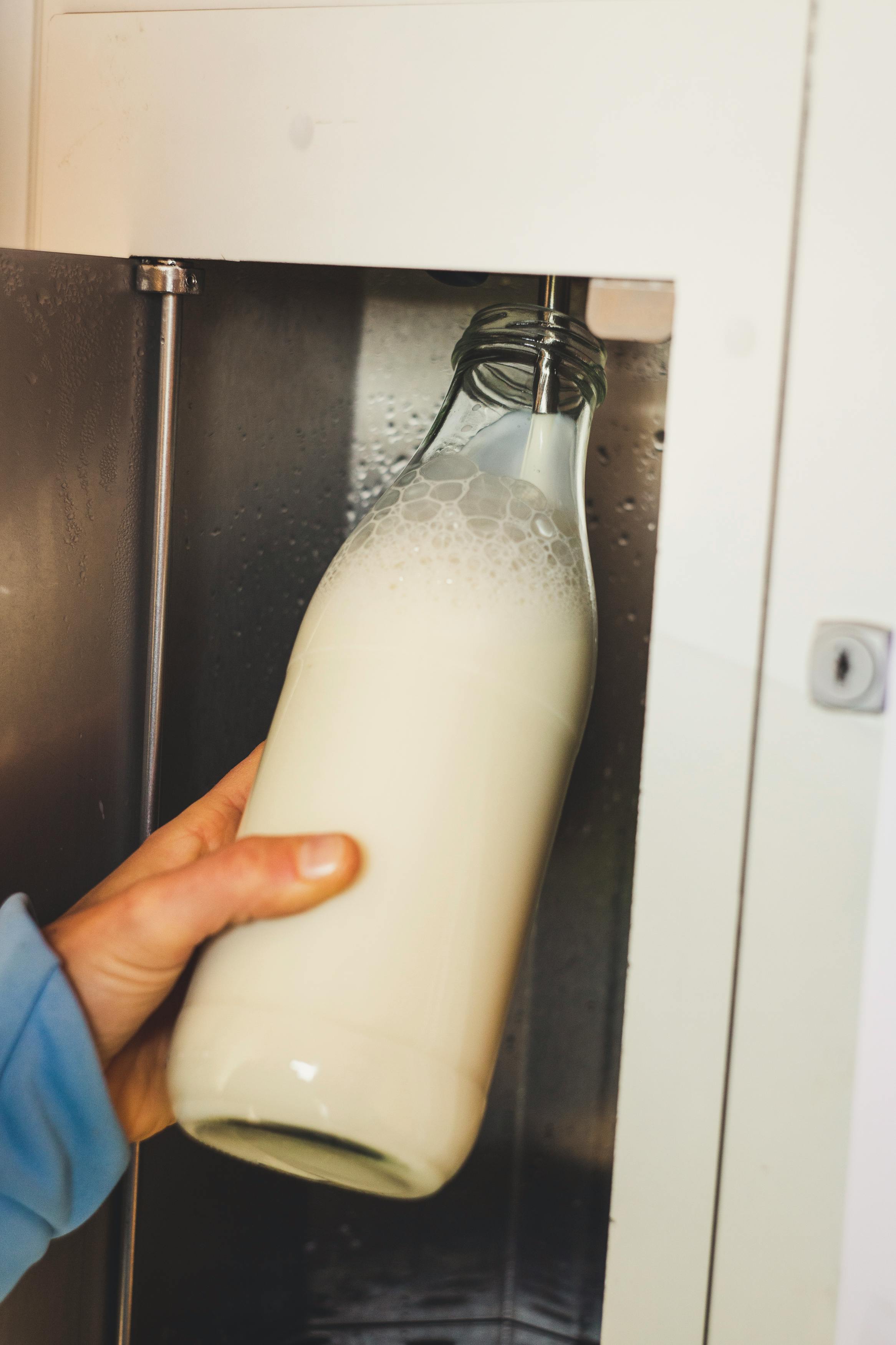 Filled Milk Photos, Download The BEST Free Filled Milk Stock Photos ...