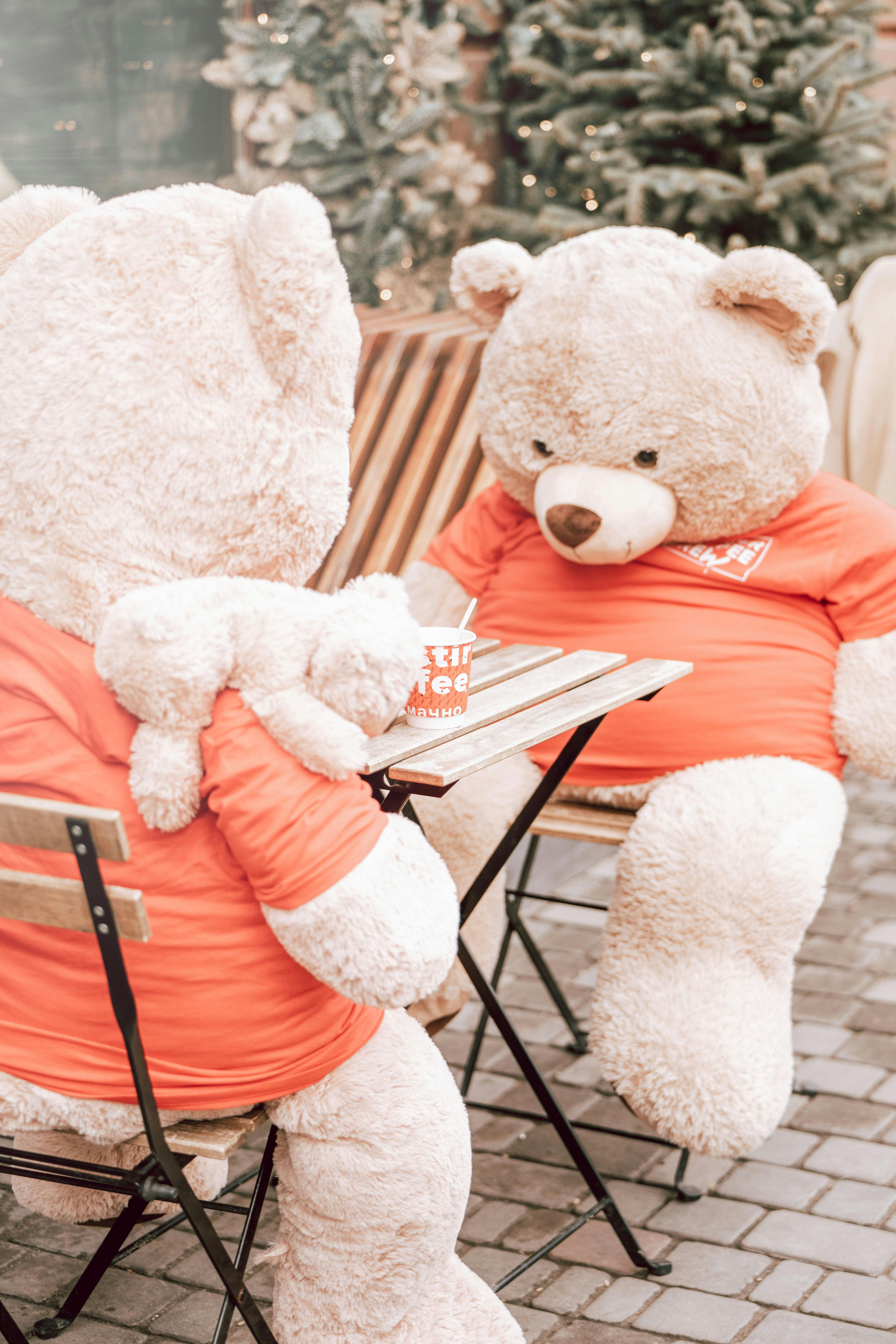 A Big Teddy Bear Sitting on a Chair Outside of a Building · Free Stock ...