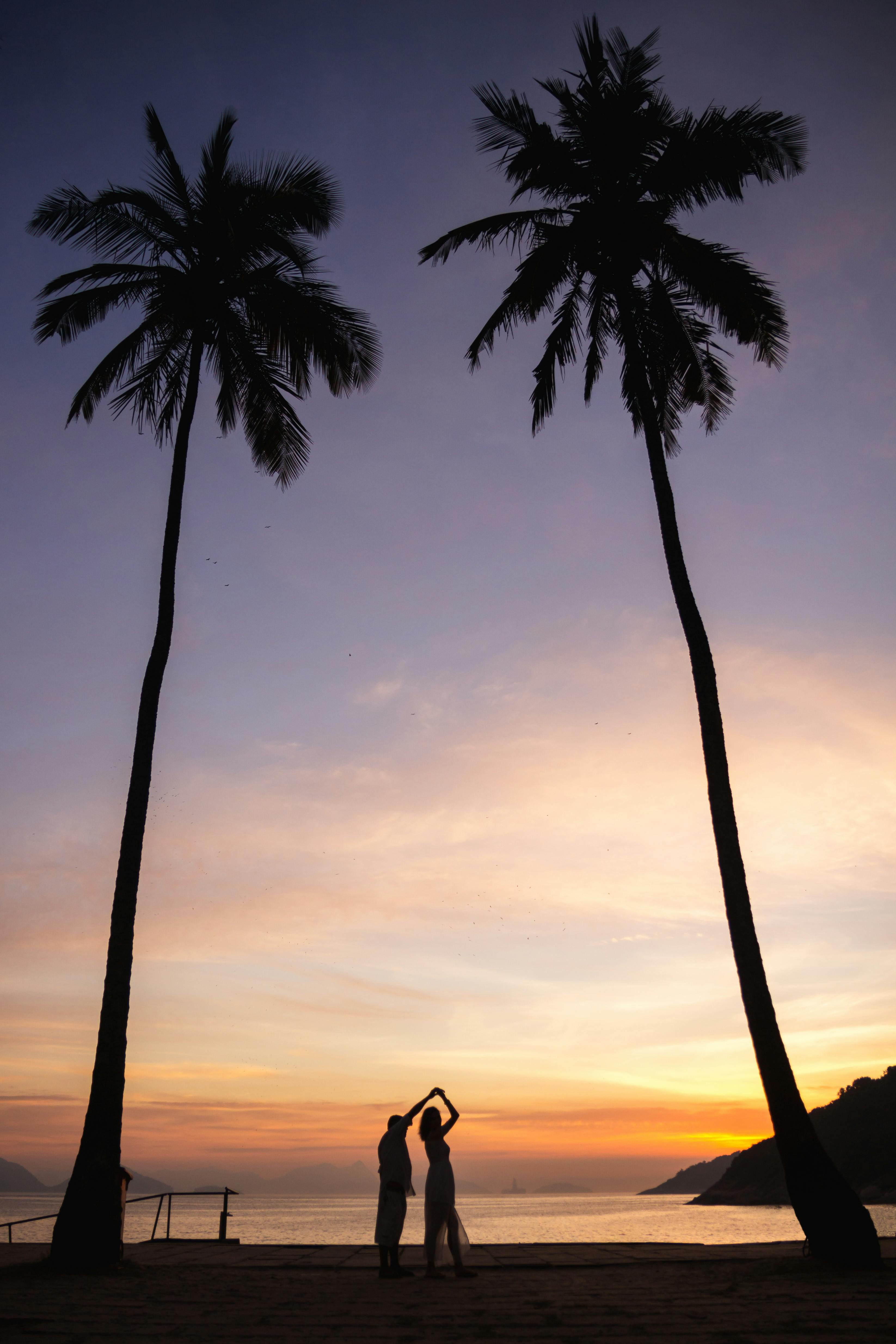 Couple Dancing Under Palm Trees · Free Stock Photo