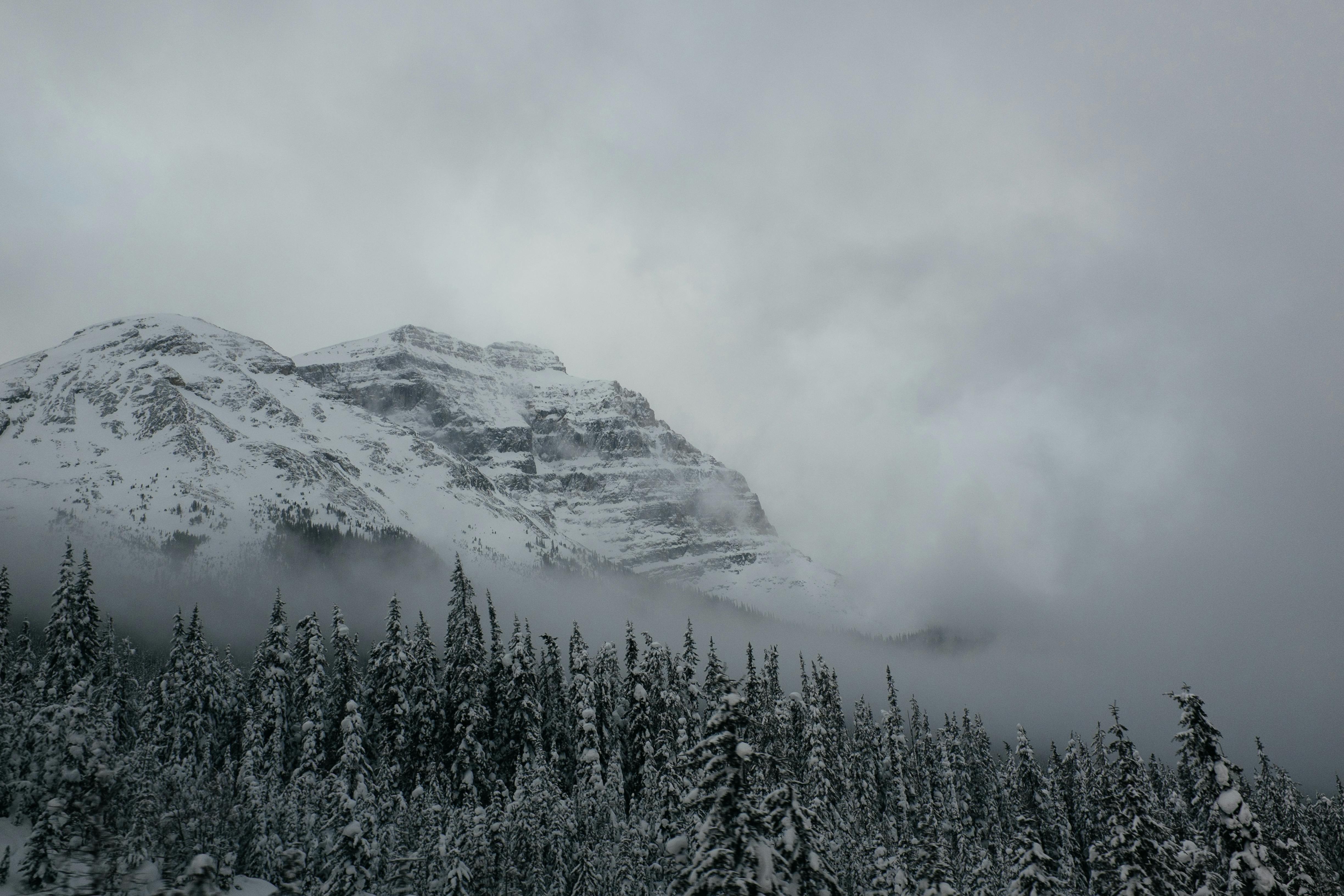 Trees and Mountains Covered with Thick Snow · Free Stock Photo