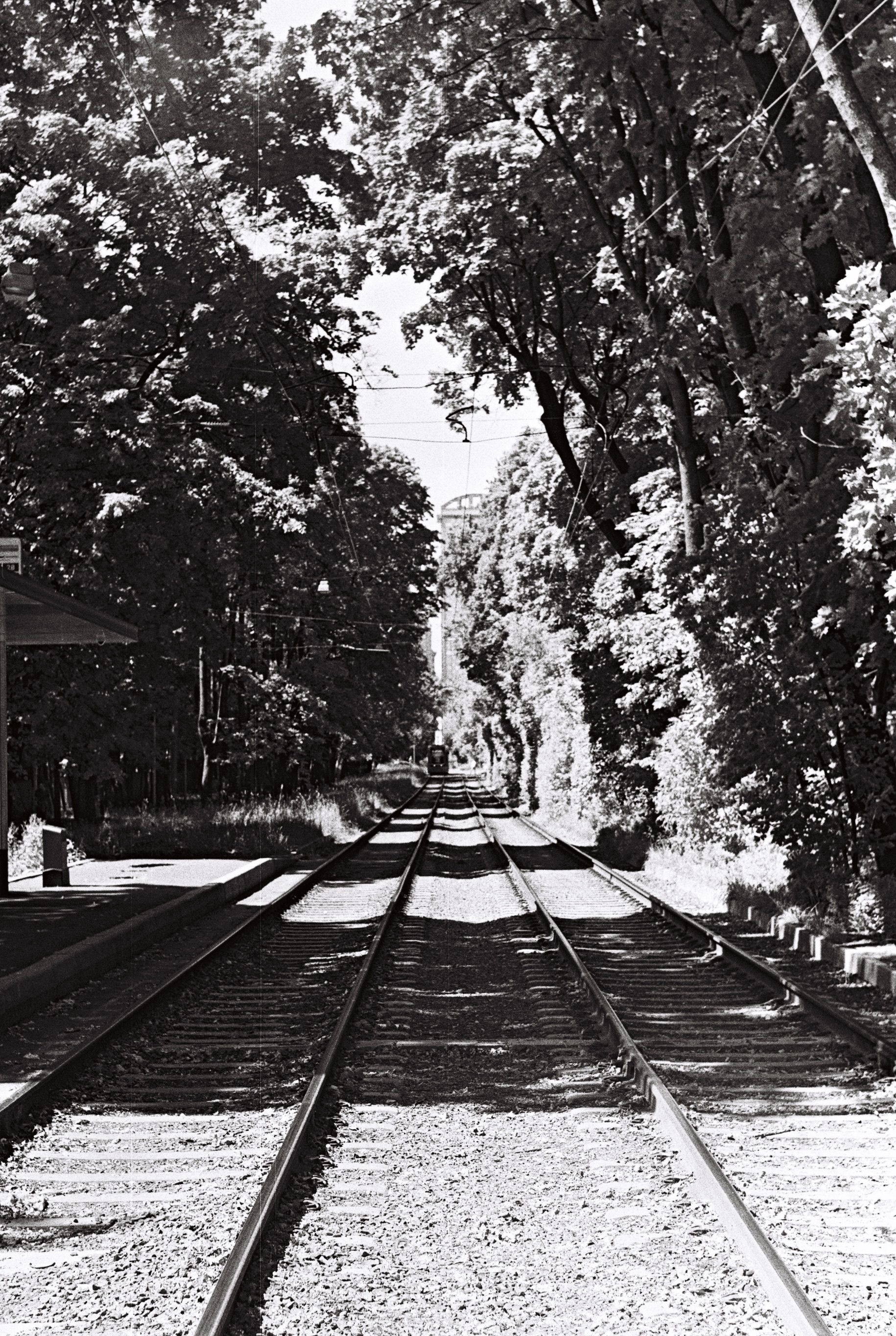 Railroads Photos, Download The BEST Free Railroads Stock Photos & HD Images