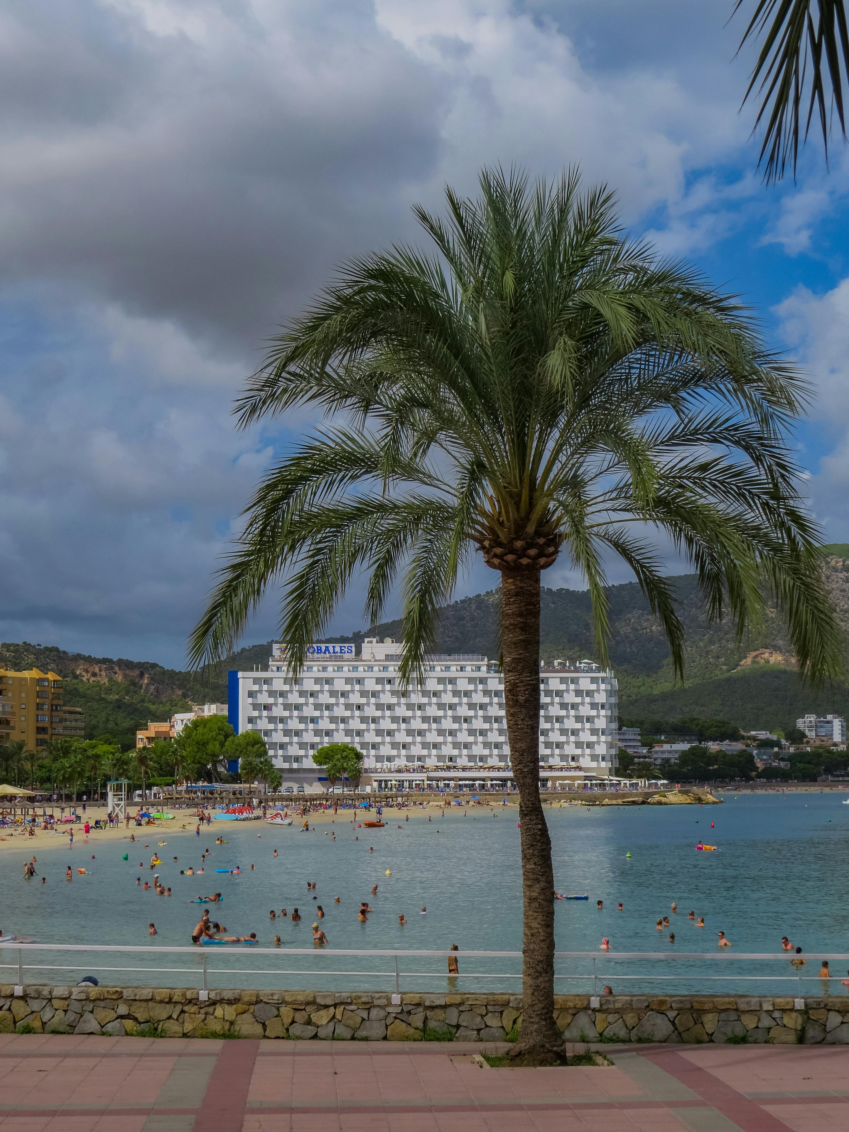 A Person in Blue Jacket Blocking the Light from Face with her Hand ...