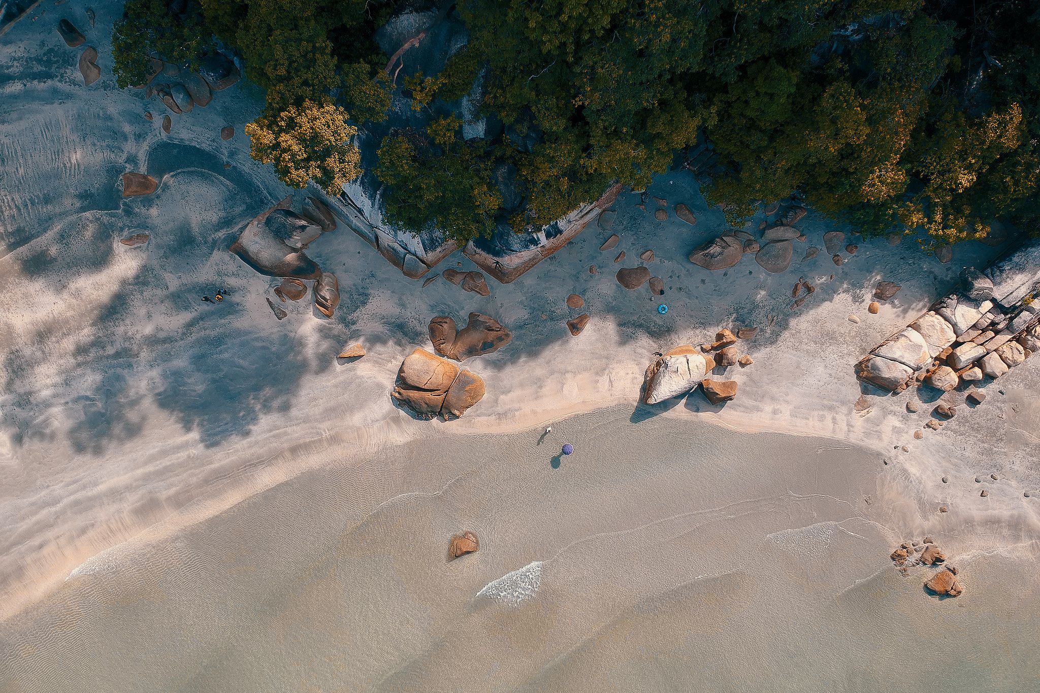 Aerial Photography of Beach Shore With Trees Nearby · Free Stock Photo