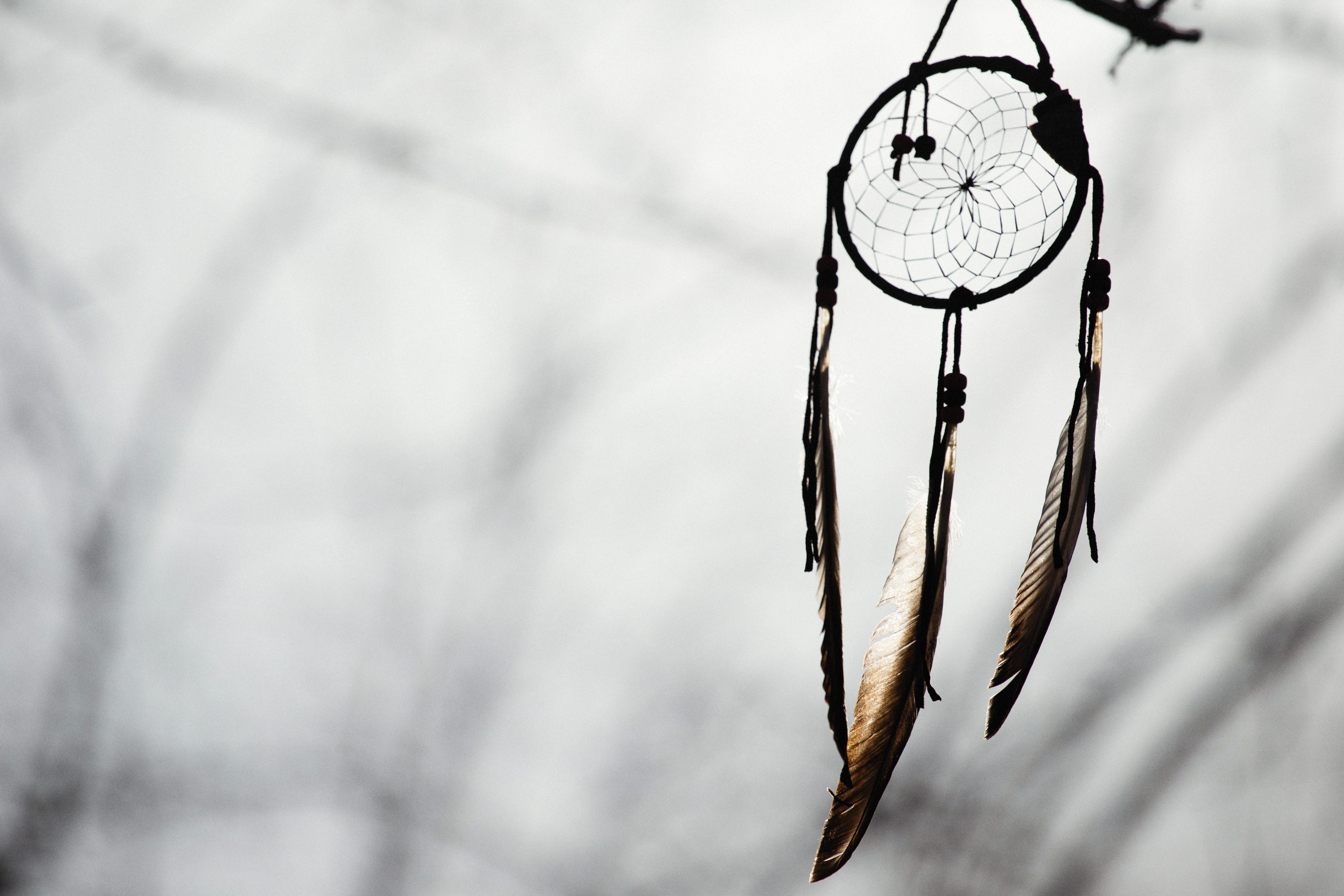 Dream Time Photos, Download The BEST Free Dream Time Stock Photos & HD ...