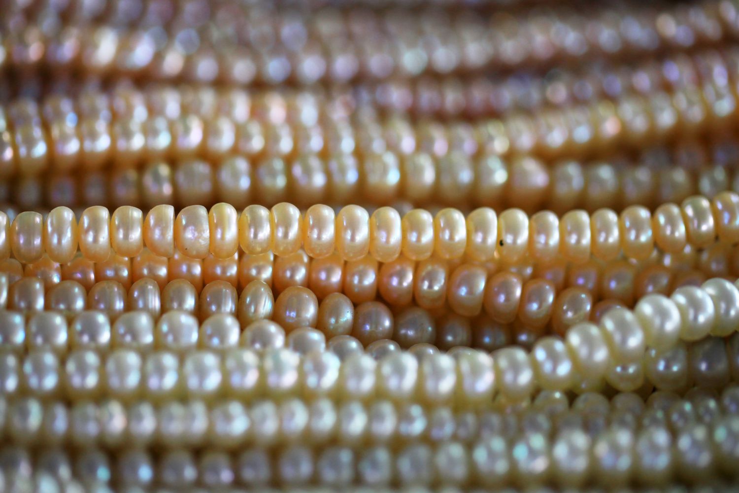 Pearl Beads Photos, Download The BEST Free Pearl Beads Stock Photos ...