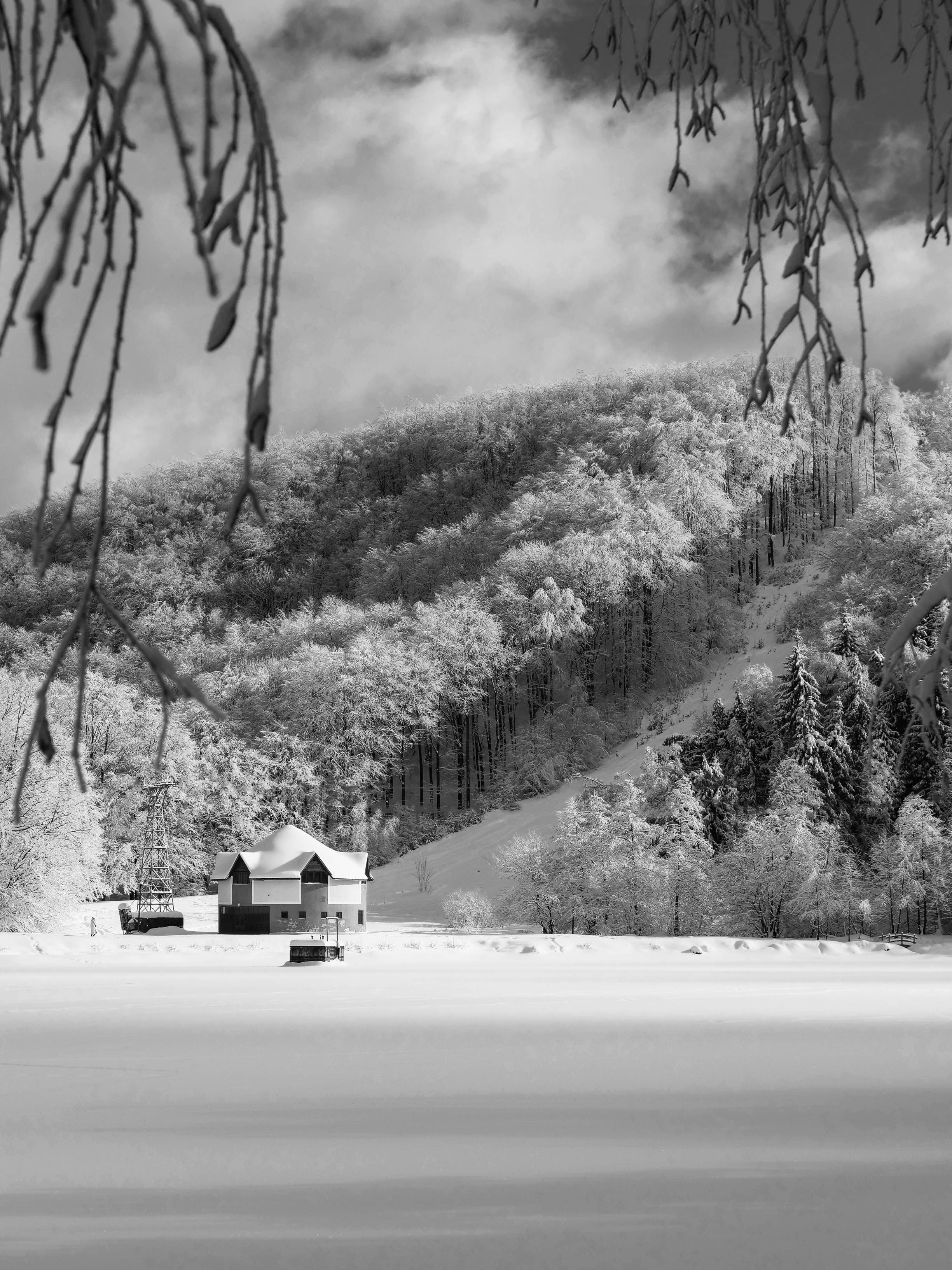 Snowy Winter Landscape · Free Stock Photo