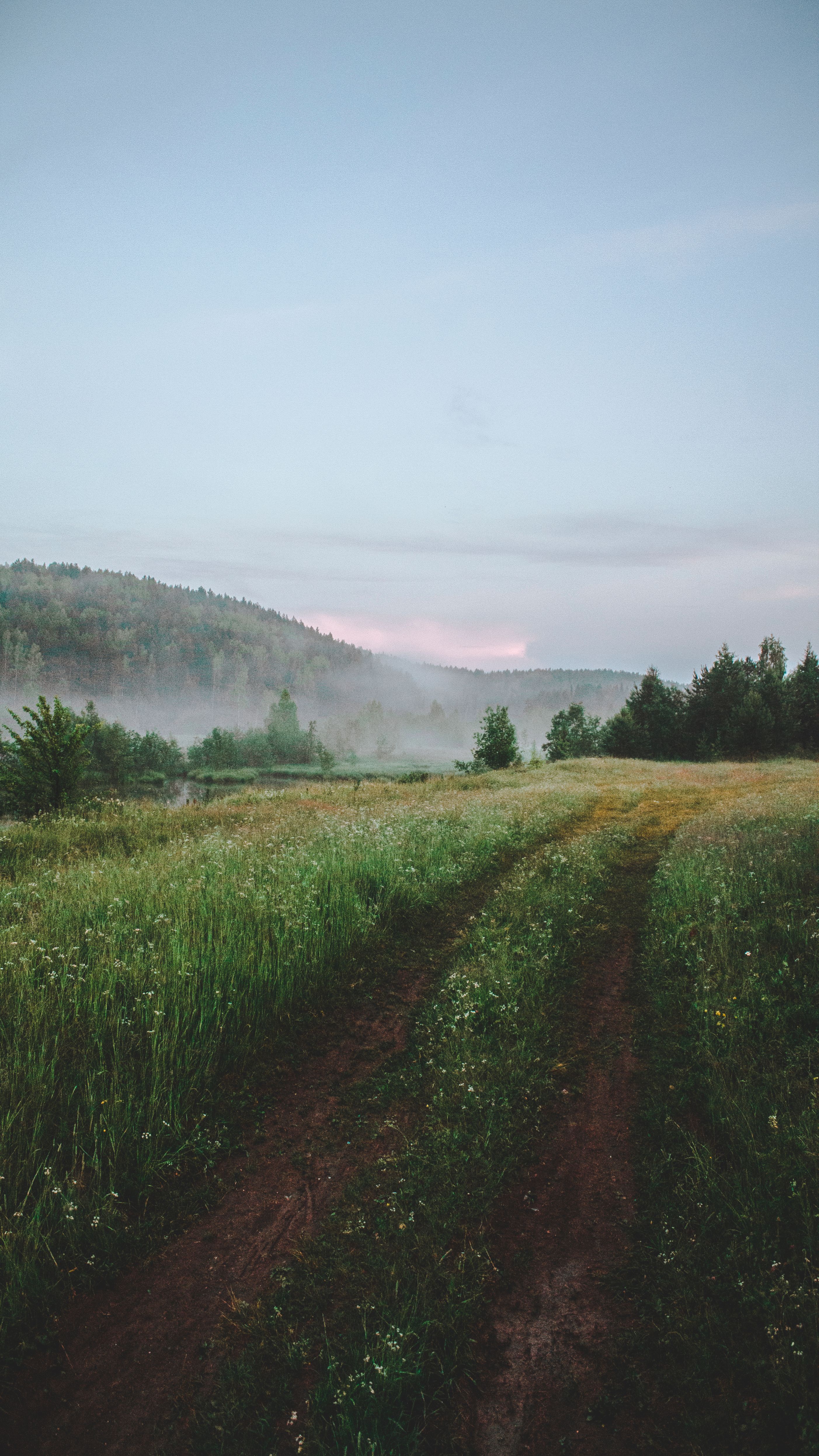 Field in Mountains · Free Stock Photo