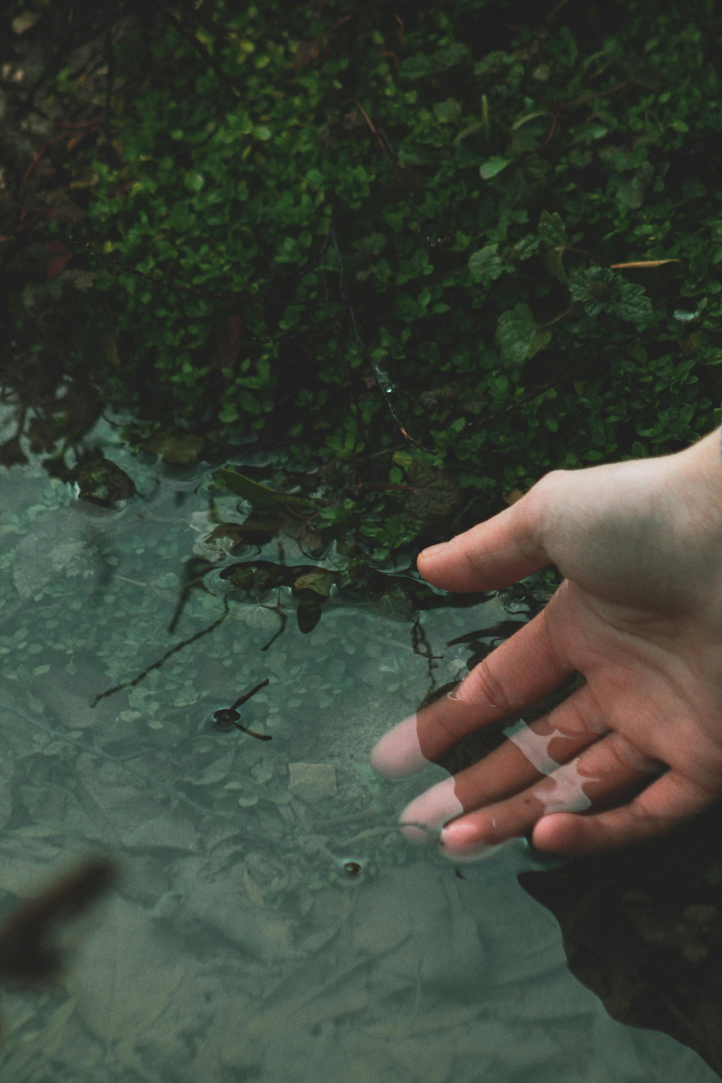 A Hand in Water · Free Stock Photo