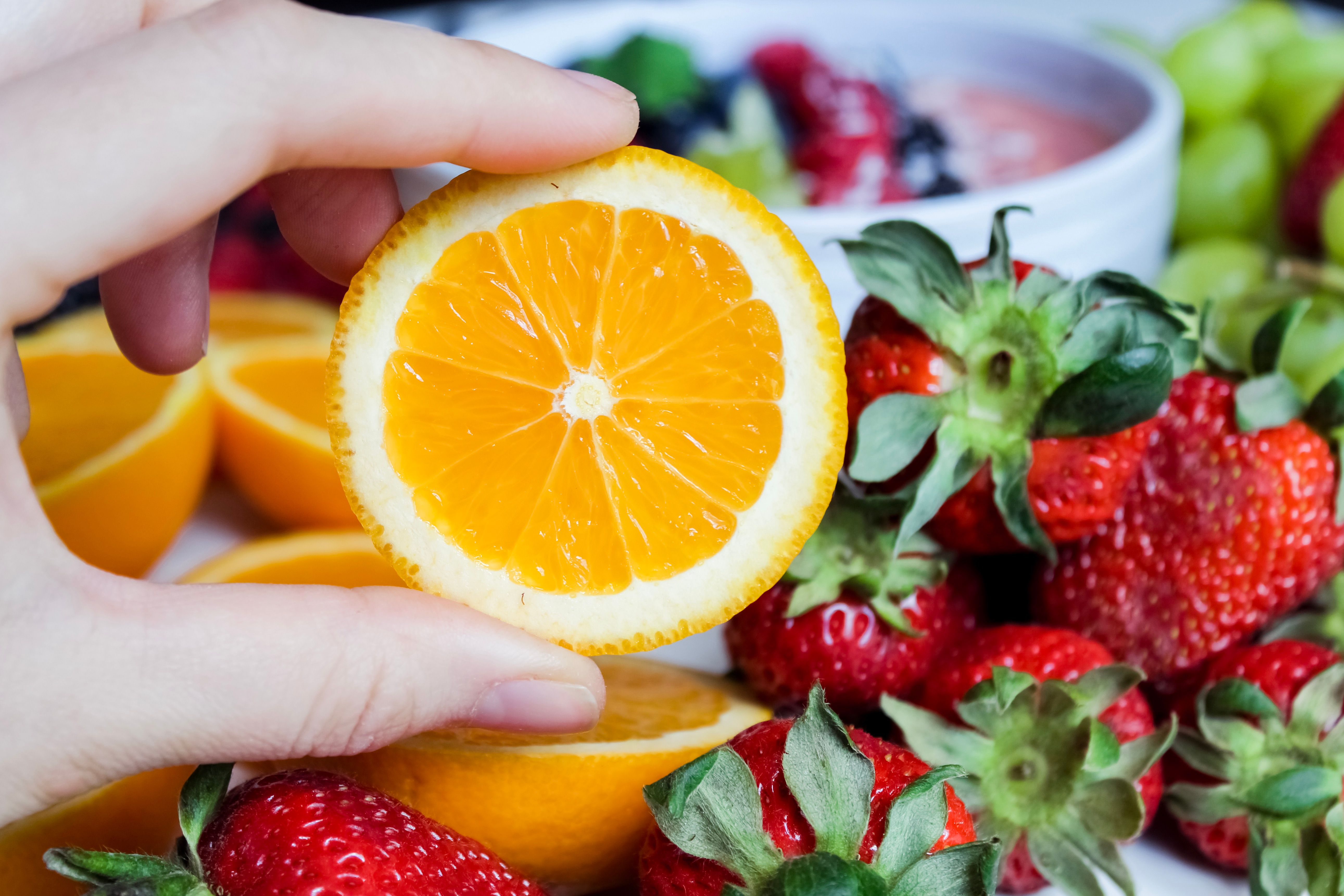 Citrus Fruits Slice · Free Stock Photo