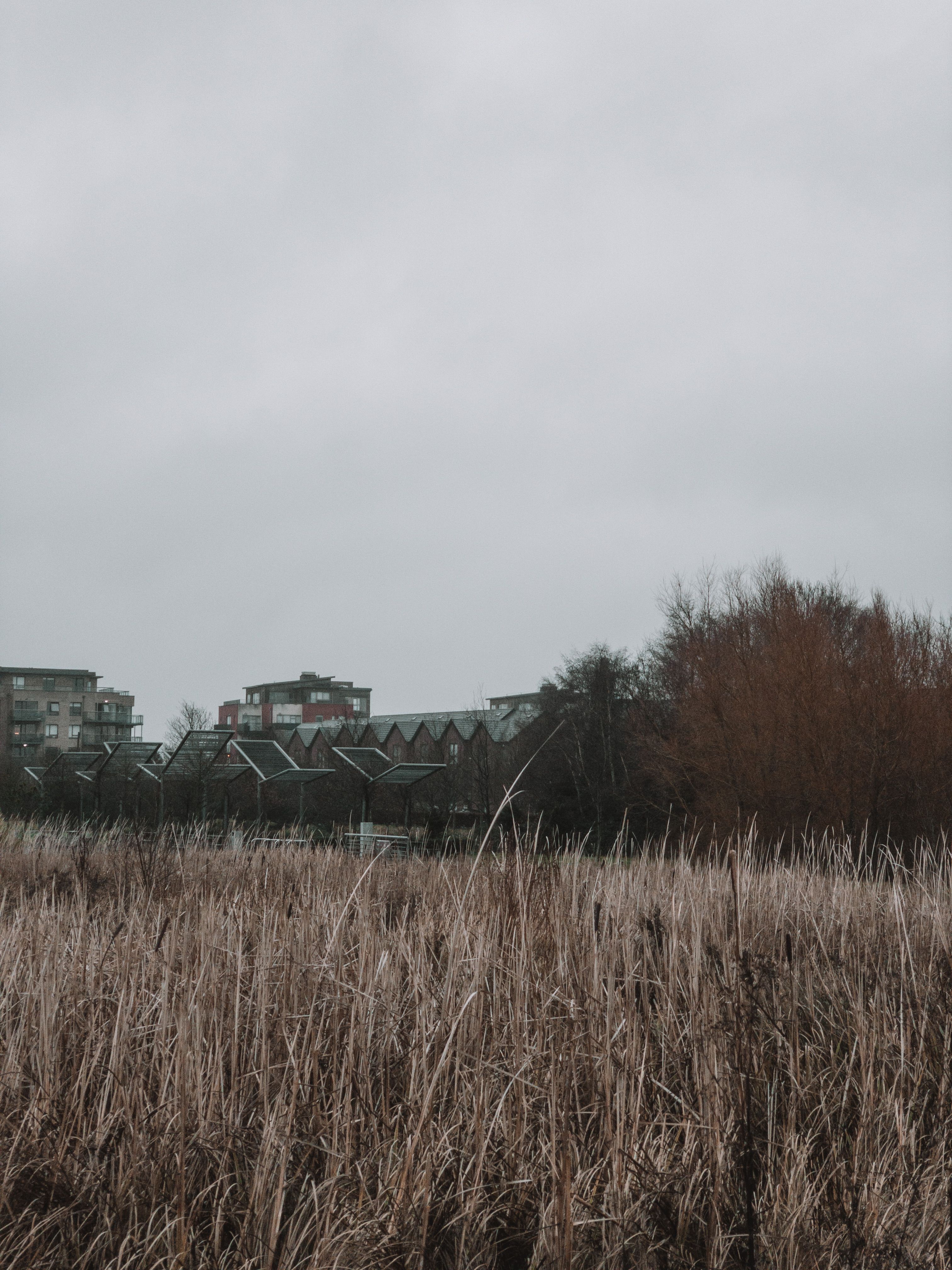 Brown Grass Field Near Buildings Under Gray Clouds · Free Stock Photo